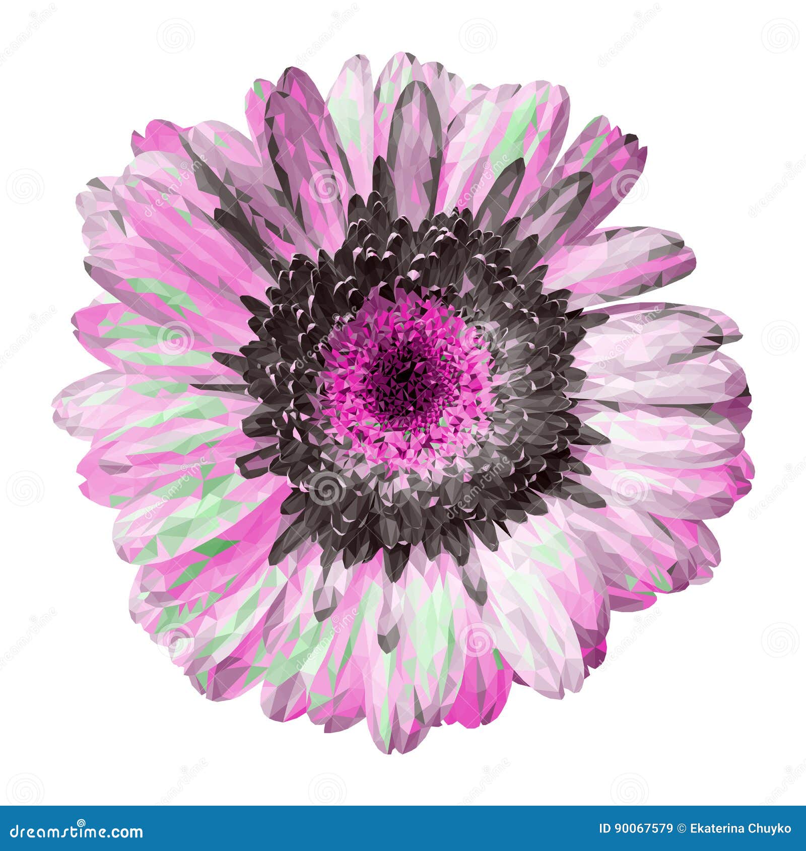 Gerber. stock vector. Illustration of daisy, fresh, design - 90067579