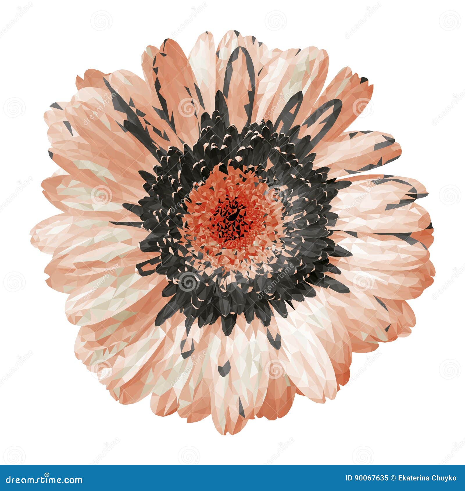 Gerber. stock vector. Illustration of garden, card, fresh - 90067635