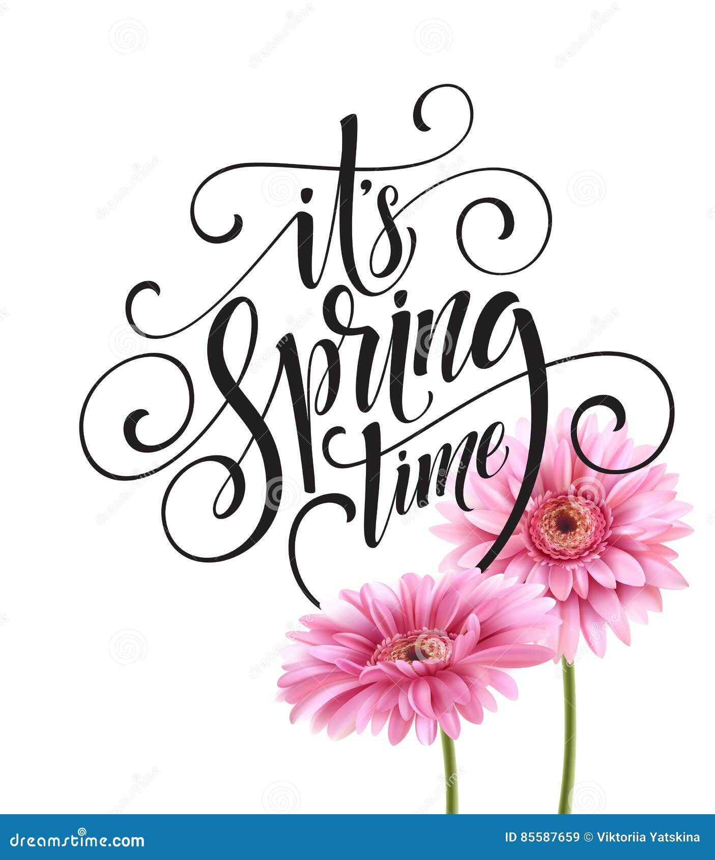 Gerbera Flower Background and Spring Lettering. Vector Illustration ...