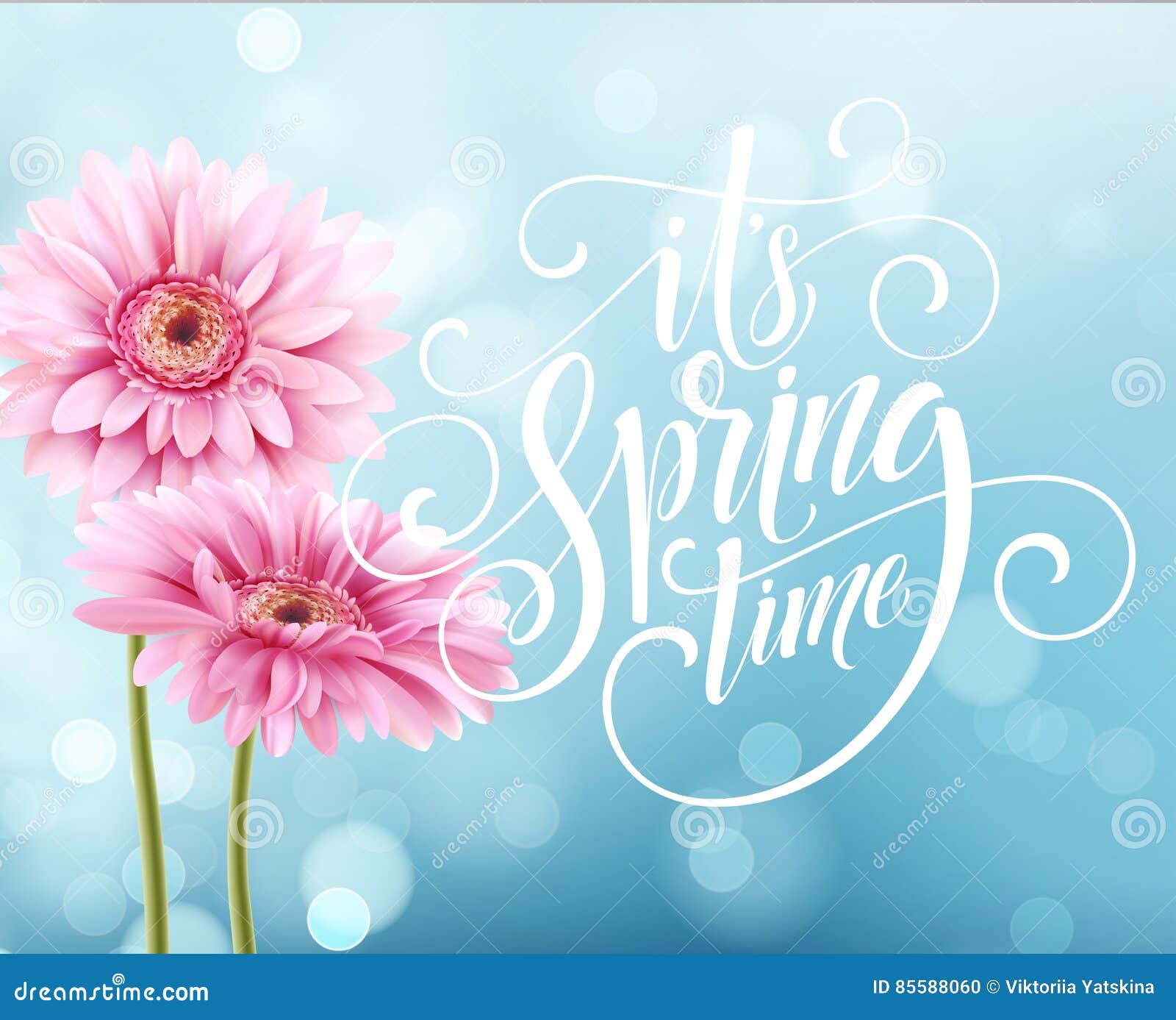 Gerbera Flower Background and Spring Lettering. Vector Illustration ...