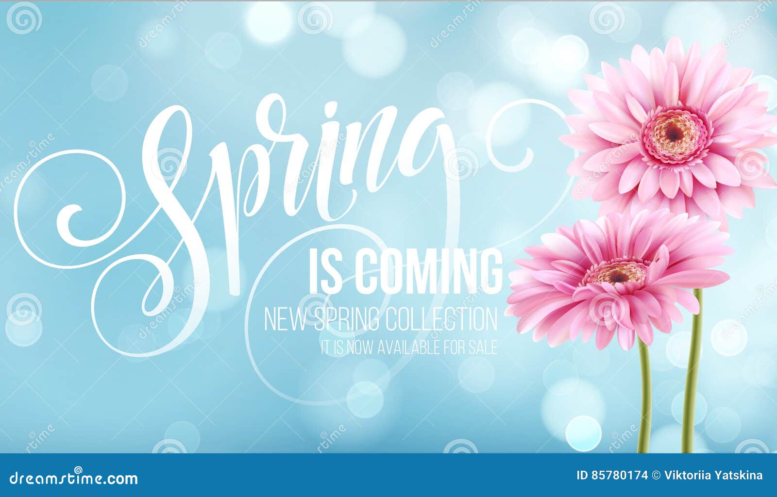 Gerbera Flower Background and Spring Lettering. Vector Illustration ...