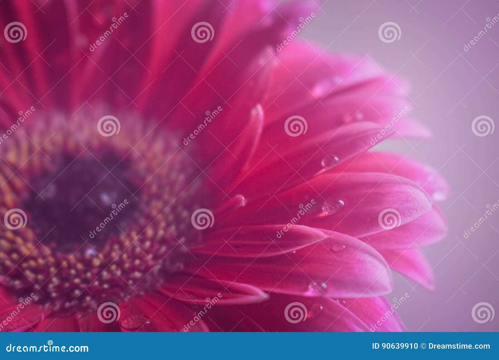 83,025 Blossom Drop Stock Photos - Free & Royalty-Free Stock Photos ...