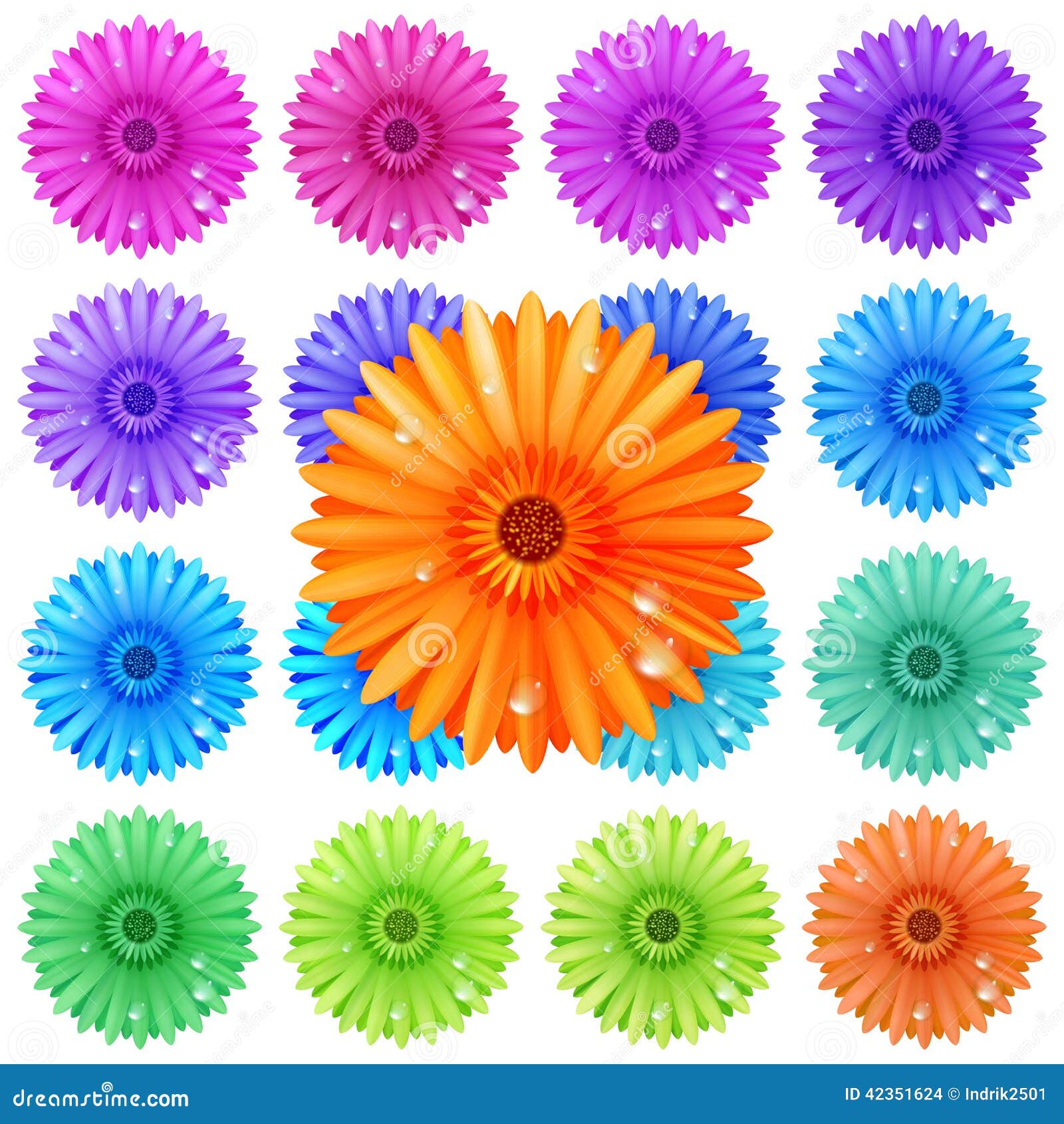 Gerbera Flower Set Isolated on White. Plus EPS10 Stock Vector ...