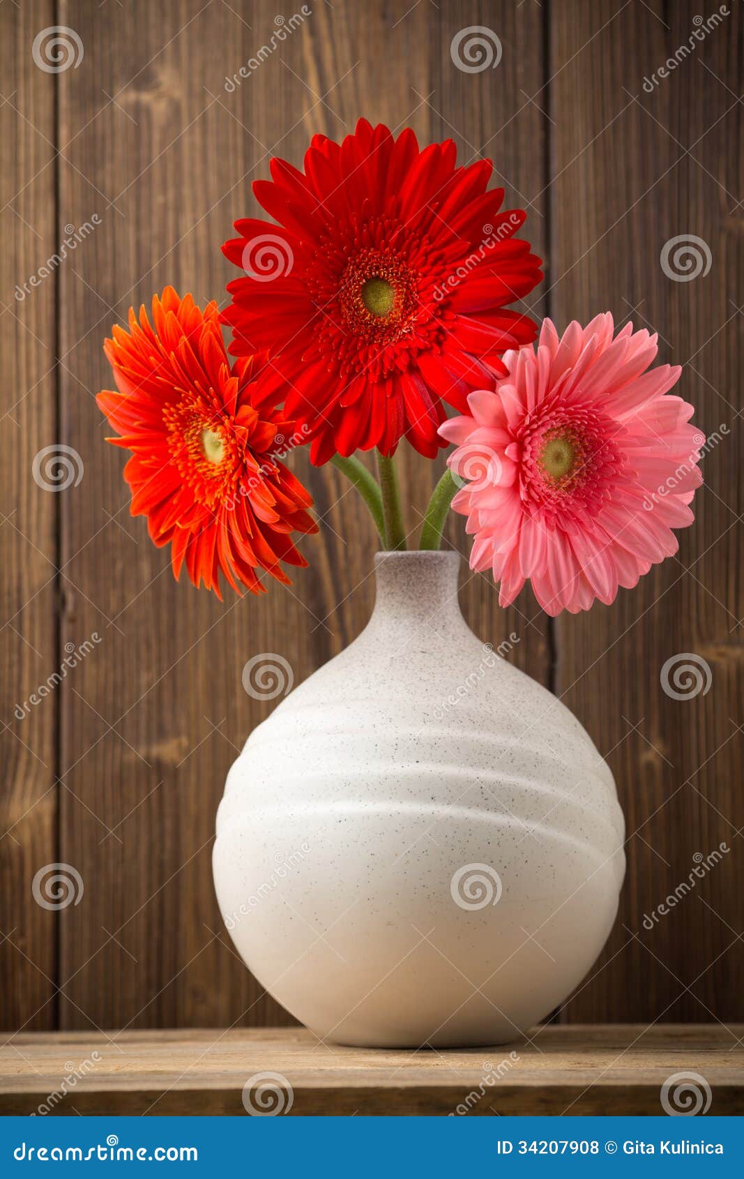 Gerbera. stock photo. Image of plant, home, pattern, gerbera - 34207908