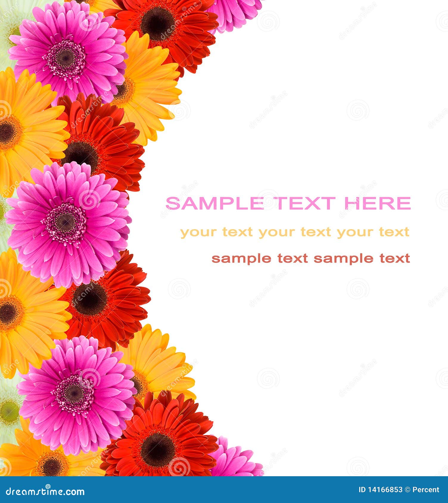 Gerbera flowers frame stock image. Image of close, beauty - 14166853