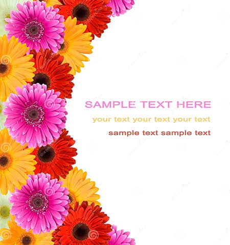 Gerbera flowers frame stock image. Image of close, beauty - 14166853