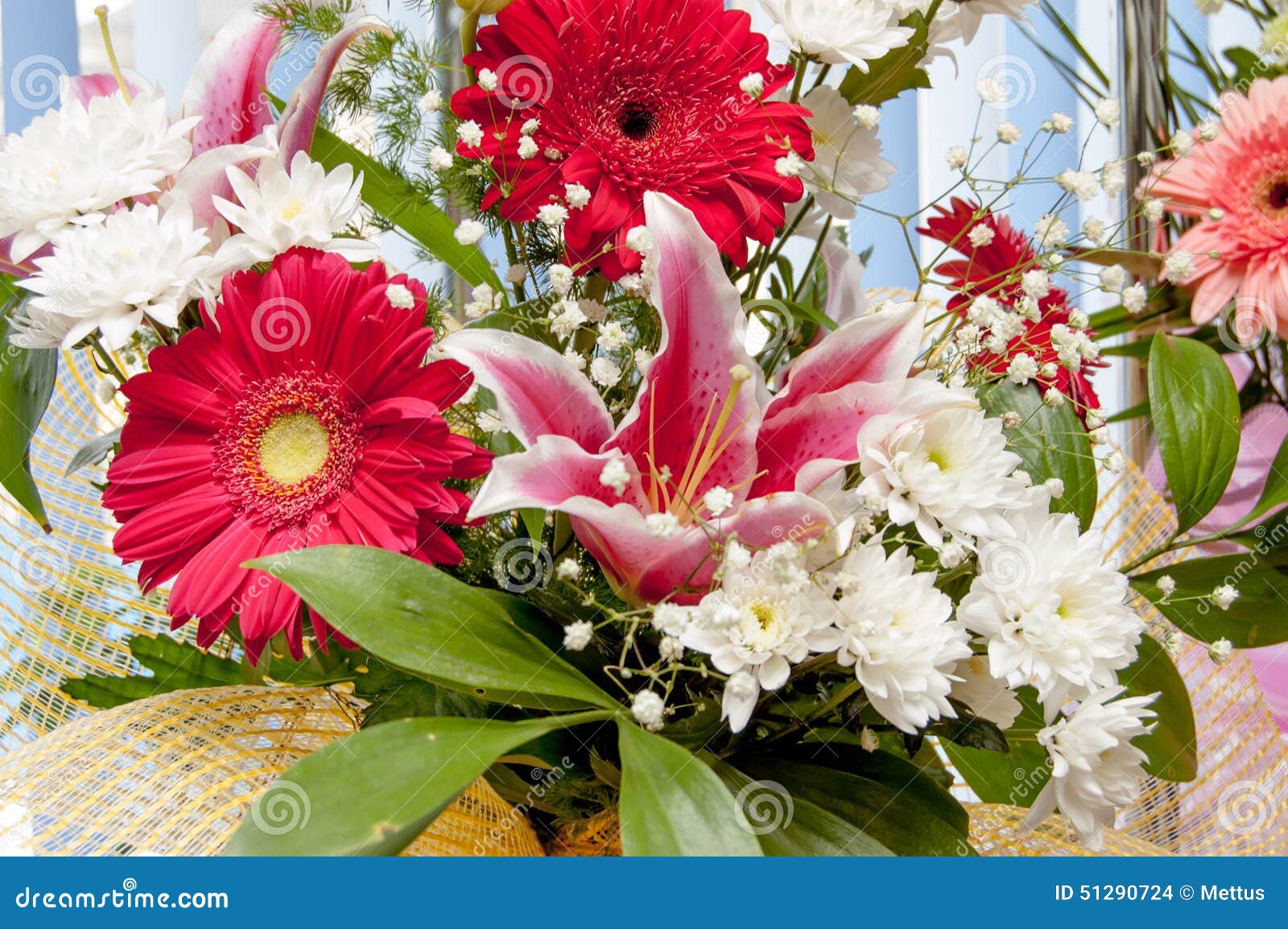 Gerbera flowers and lily stock photo. Image of spring - 51290724