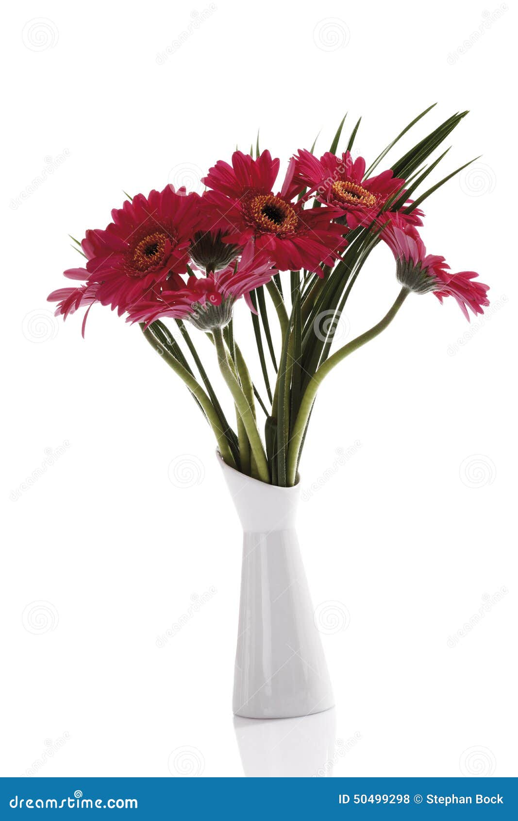 Gerbera Flowers in Porcelain Vase Stock Photo - Image of fragrance ...