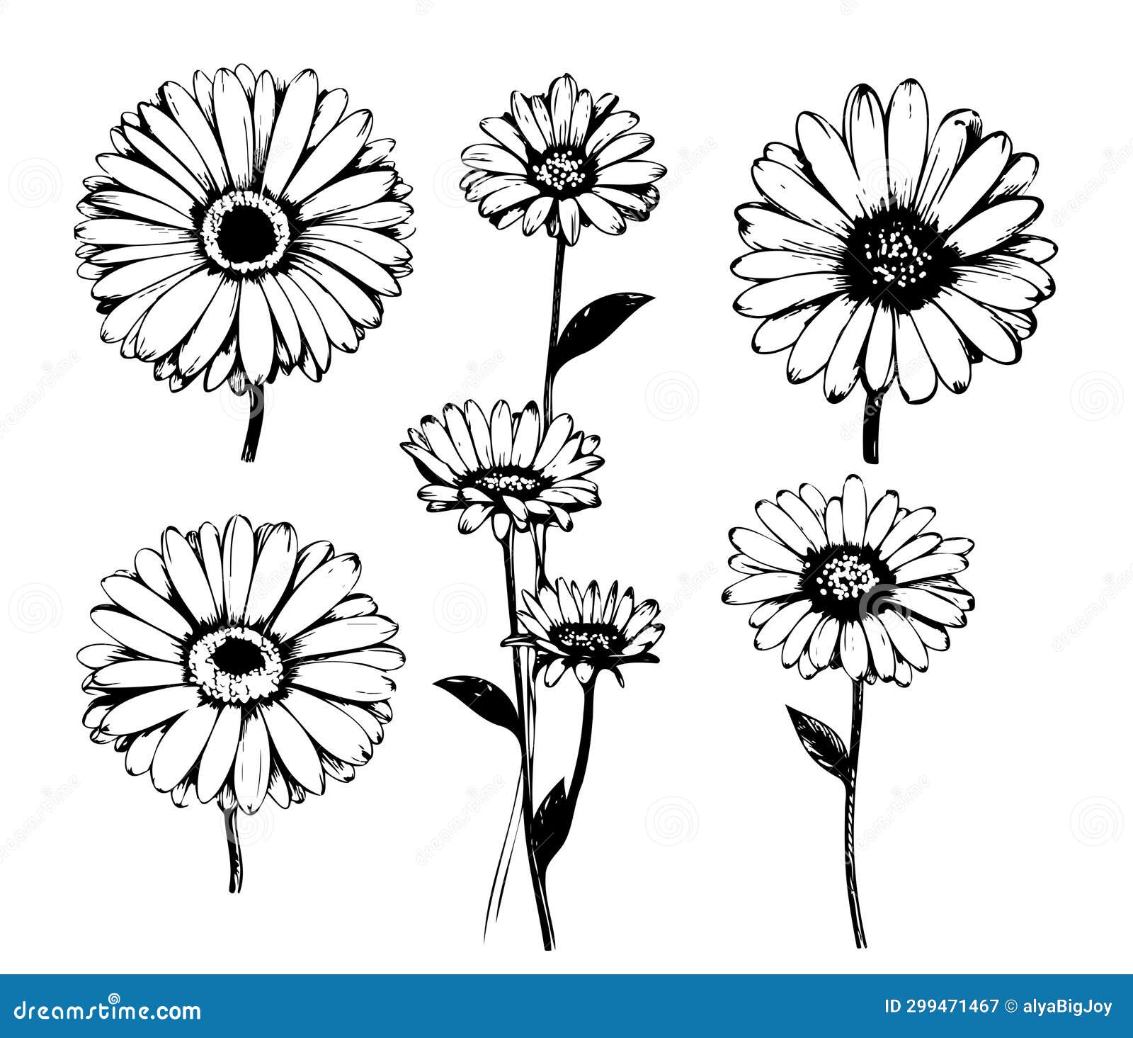Gerbera Flowers Set. Line Art Sketch Vector Stock Illustration ...