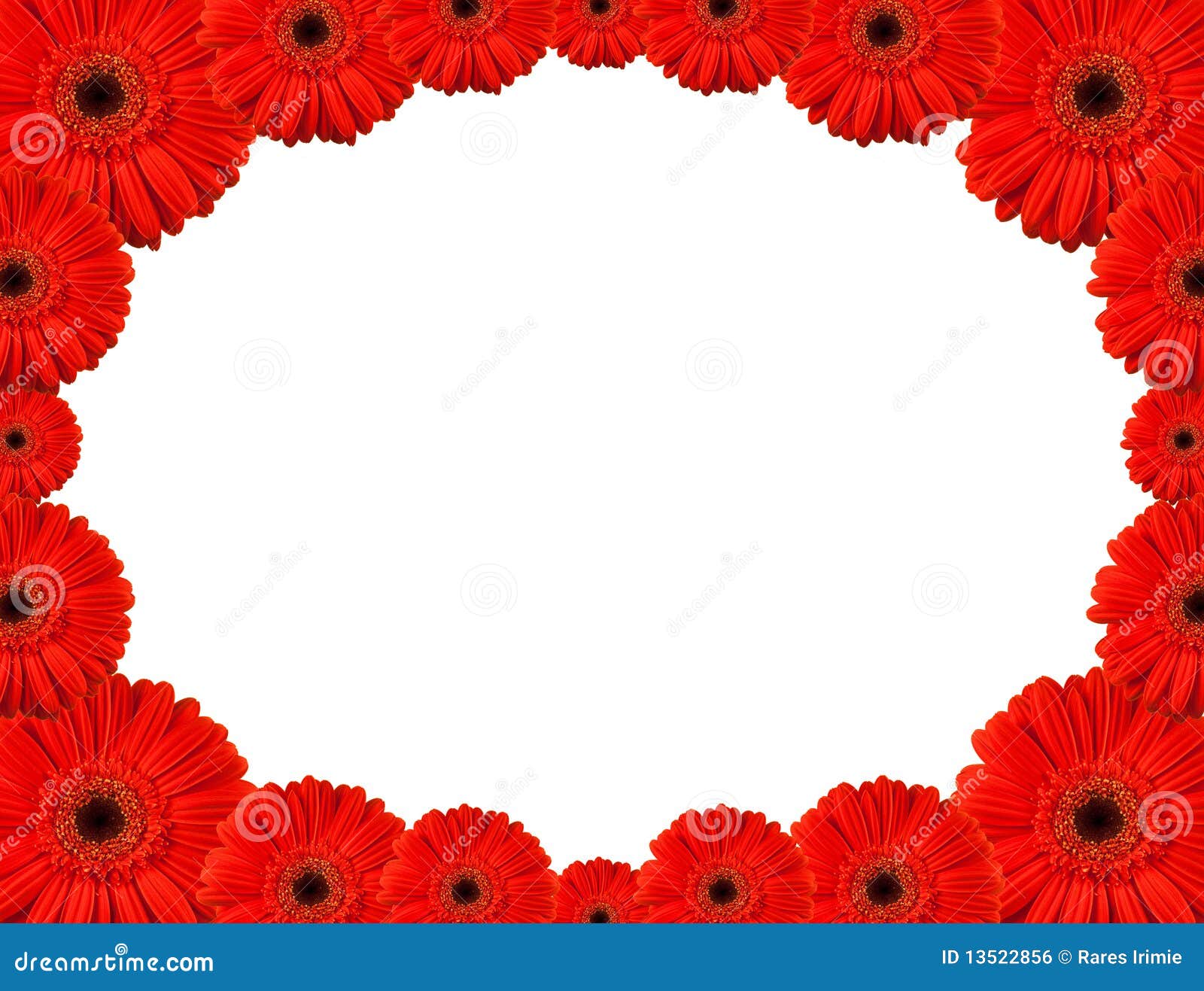 Gerbera Frame stock illustration. Illustration of family - 13522856