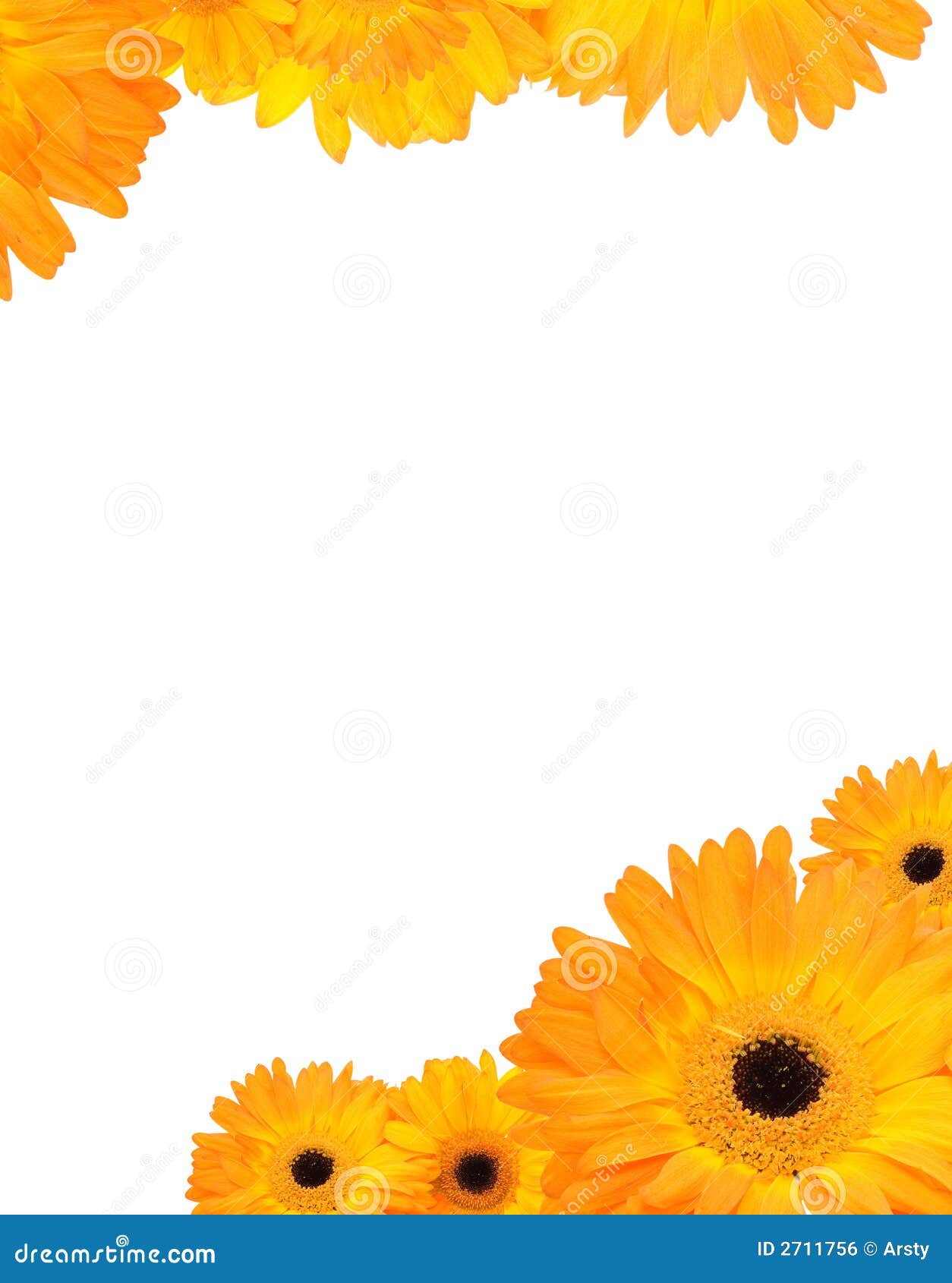 Gerbera frame stock photo. Image of bush, beauty, floral - 2711756