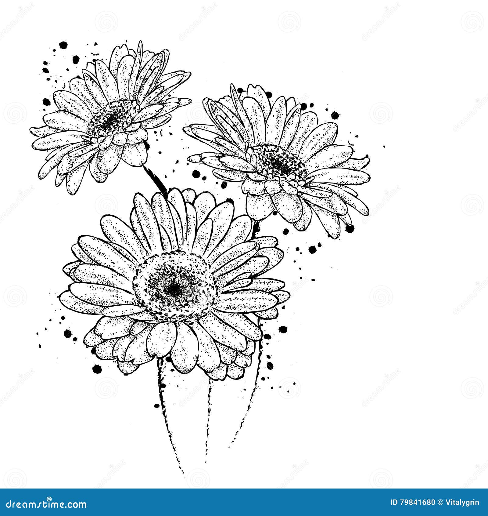 Gerbera hermoso Flores ilustración del vector. Ilustración de cubo ...
