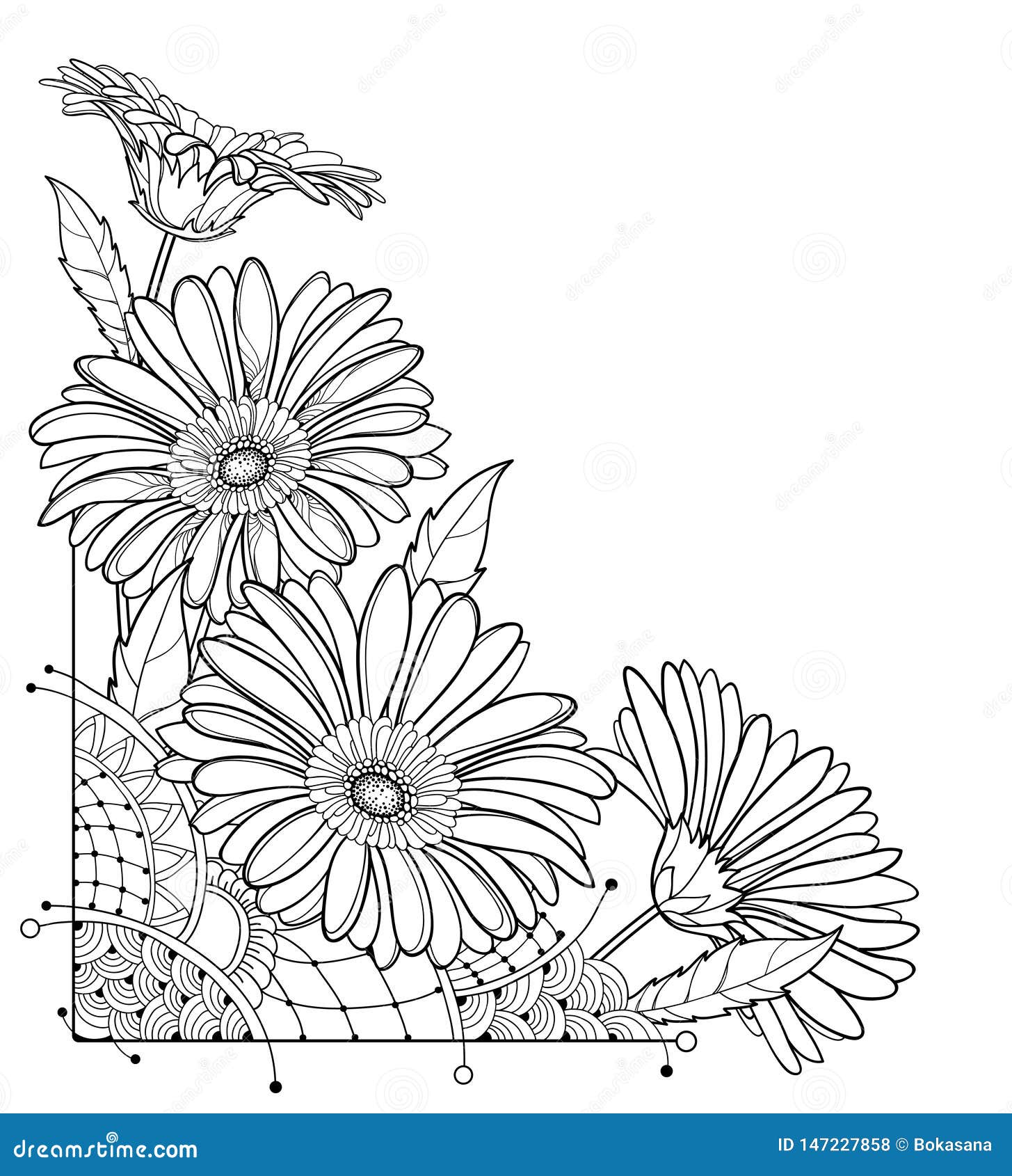 Vector Corner Bouquet with Outline Gerbera or Gerber Flower in Black ...