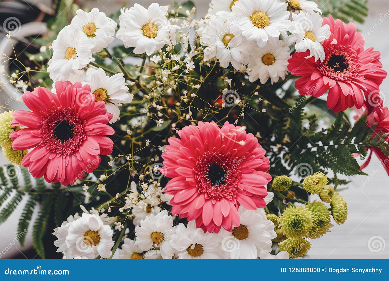 Gerbera Rosa, Margherita Bianca E Crisantemo Verde in Bello Br ...