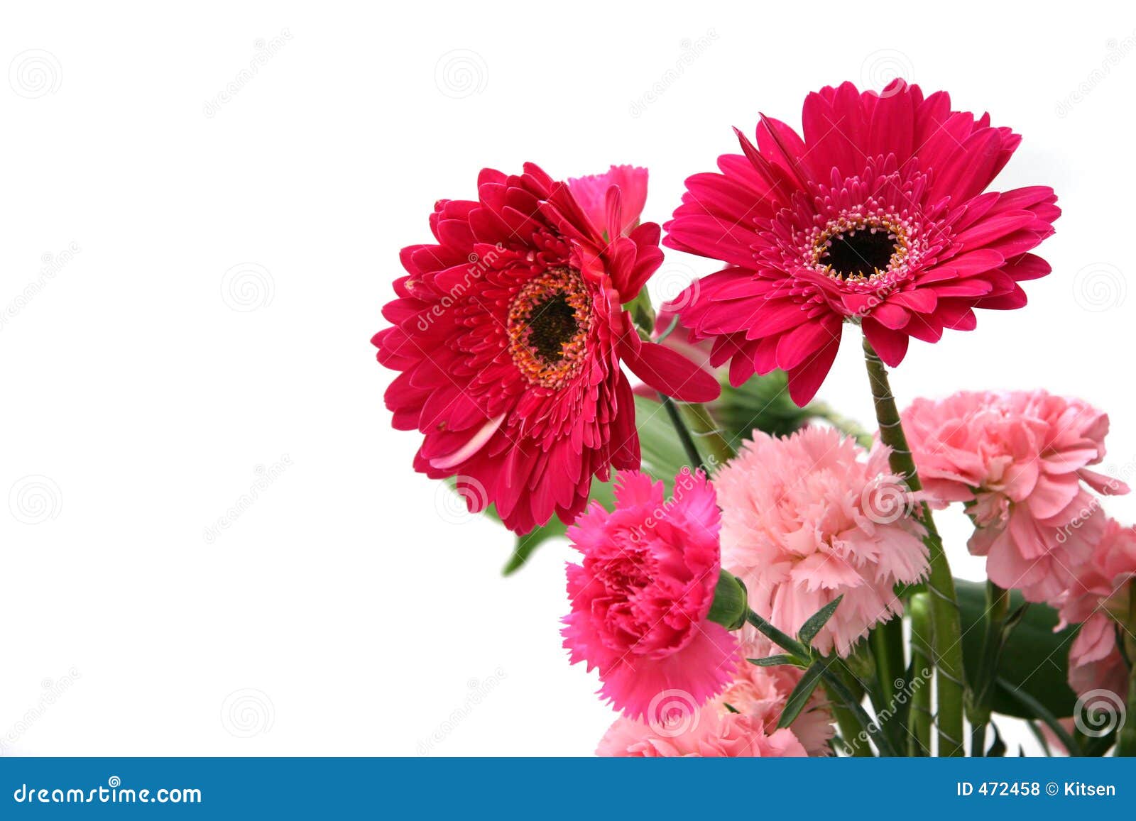 Gerberas & carnations stock photo. Image of hardy, bouquet - 472458