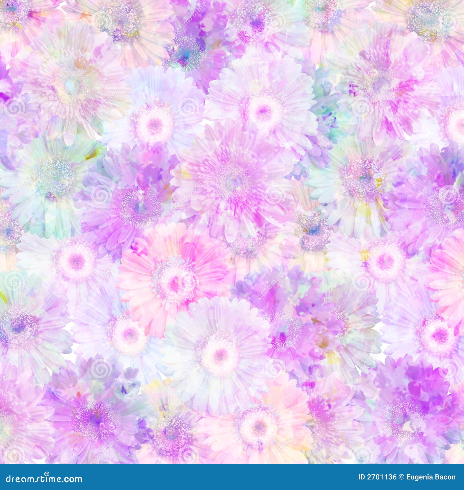 Gerberas Rosados Y De Color De Malva Foto de archivo - Imagen de ...