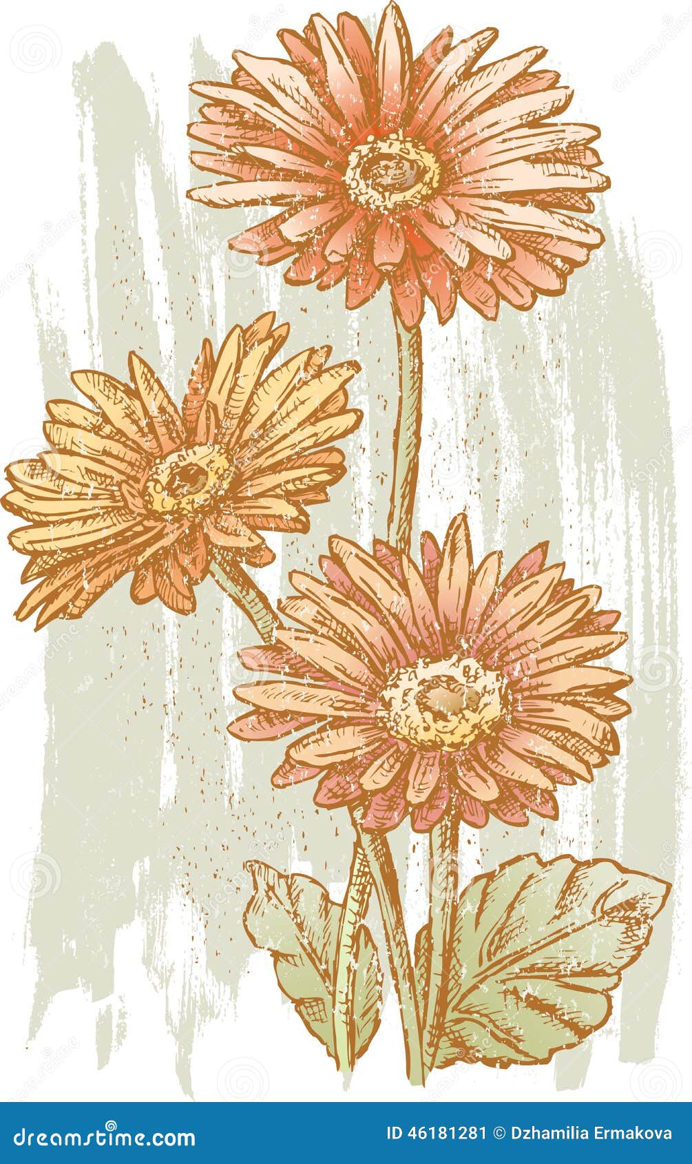 Gerberas stock vector. Illustration of leaves, blooming - 46181281