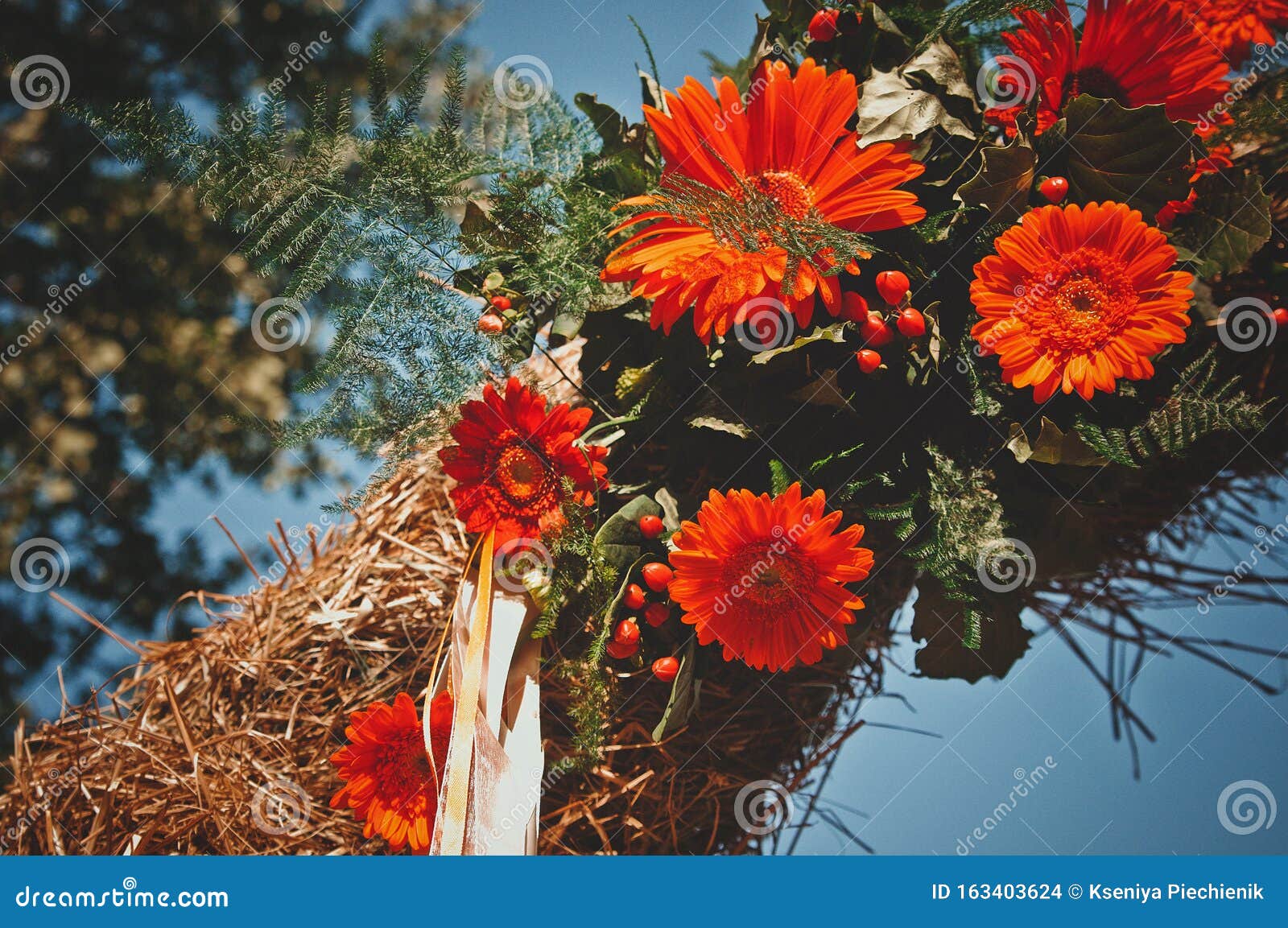 Gerberas on the Wedding Arch Stock Photo - Image of arch, gerberas ...