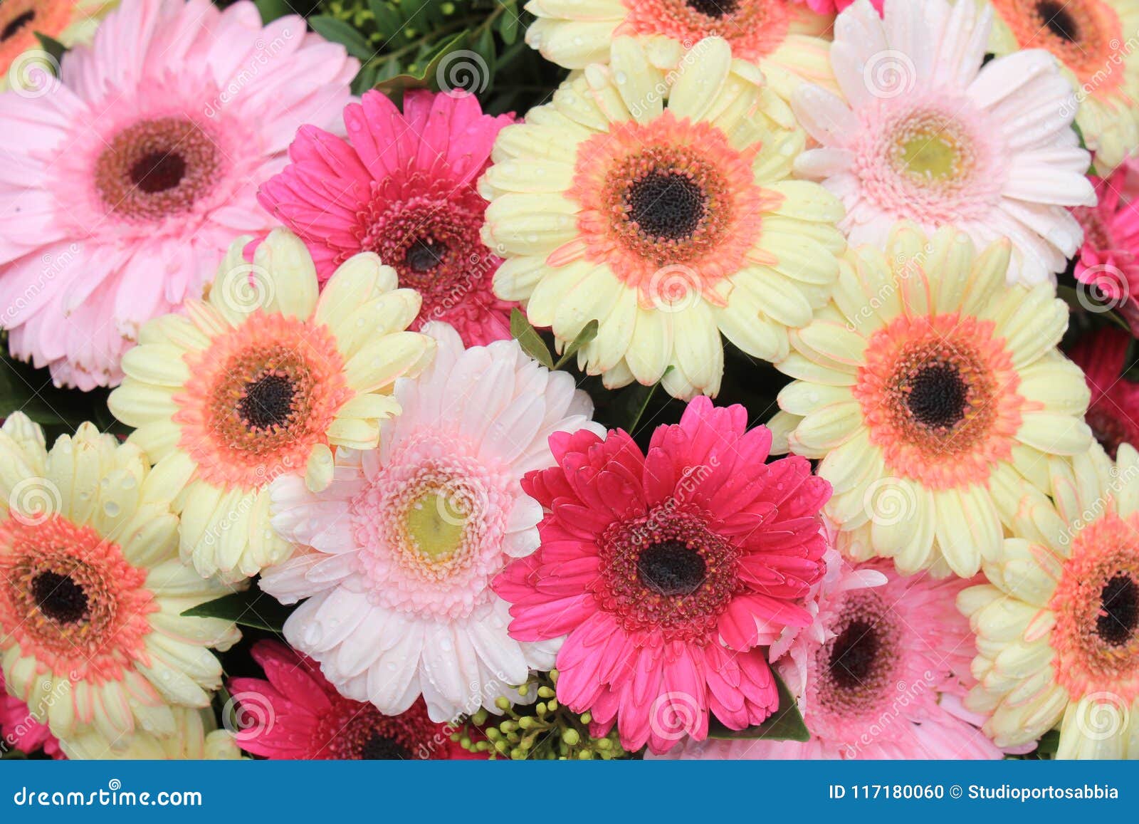 Gerbers En Colores Pastel Grandes Foto de archivo - Imagen de arreglo ...