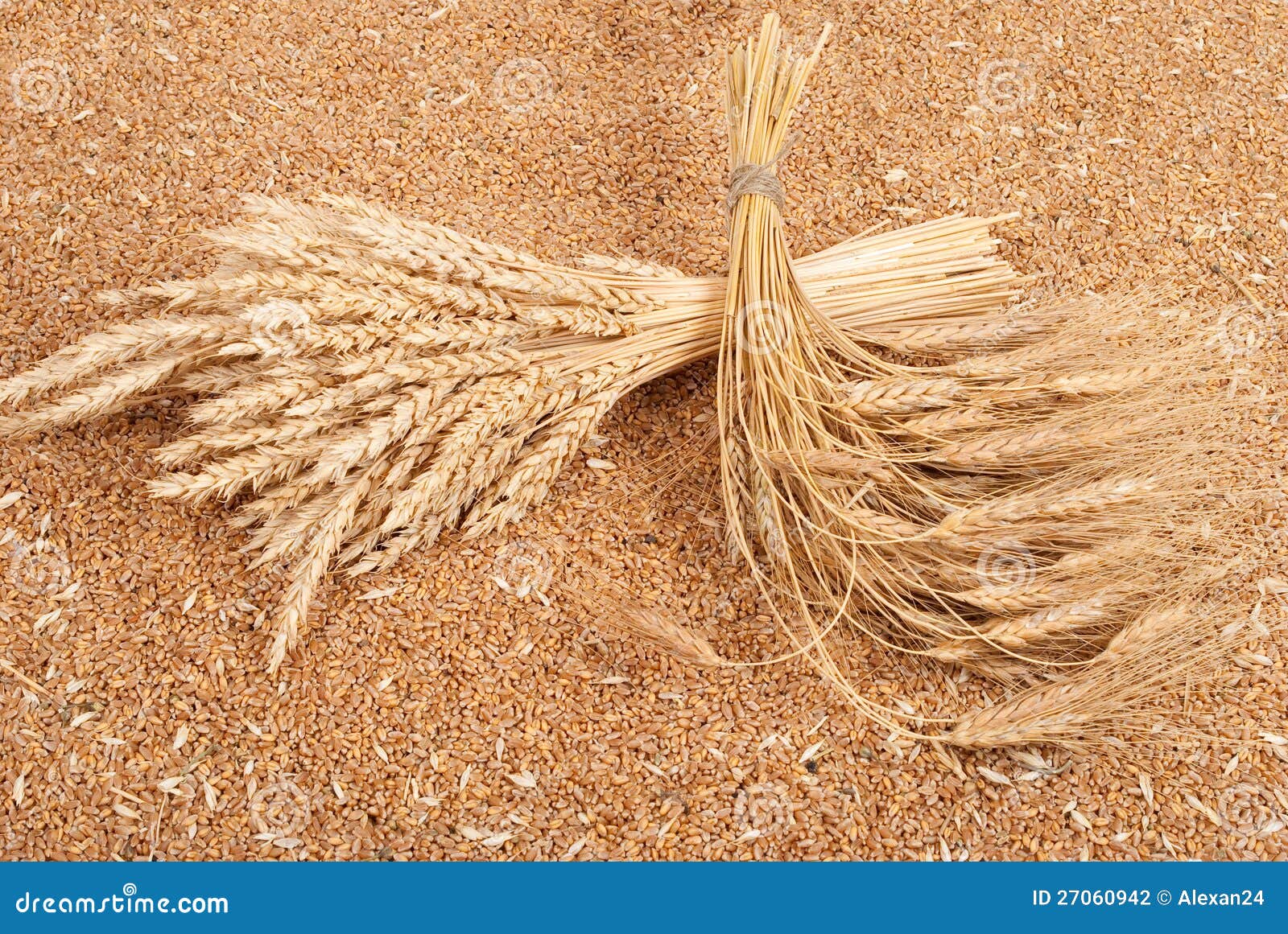 Gerbes de blé photo stock. Image du surface, moisson - 27060942