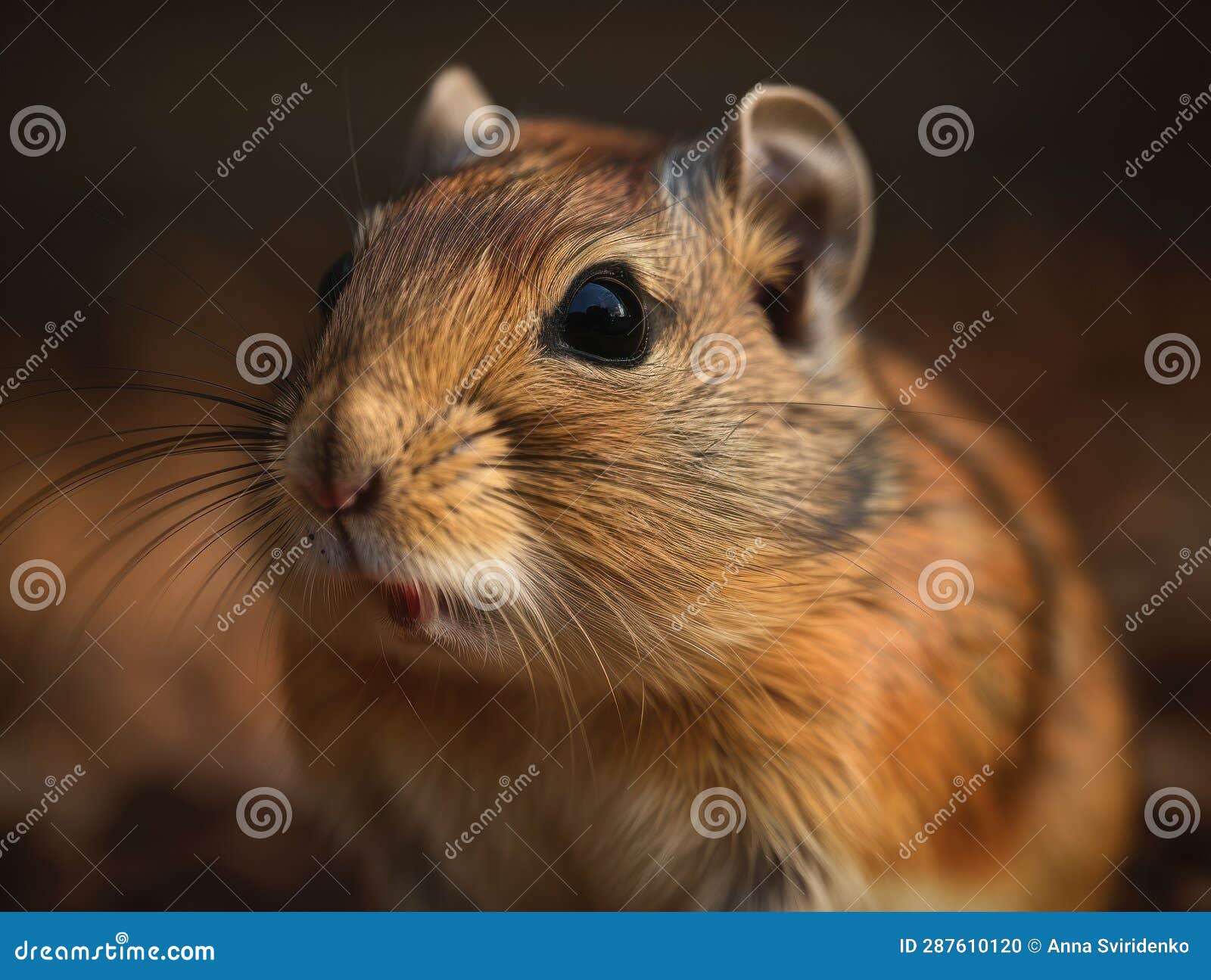 Portrait Of Gerbil In Pop Art Style, Flying Colors, Expression Stock ...