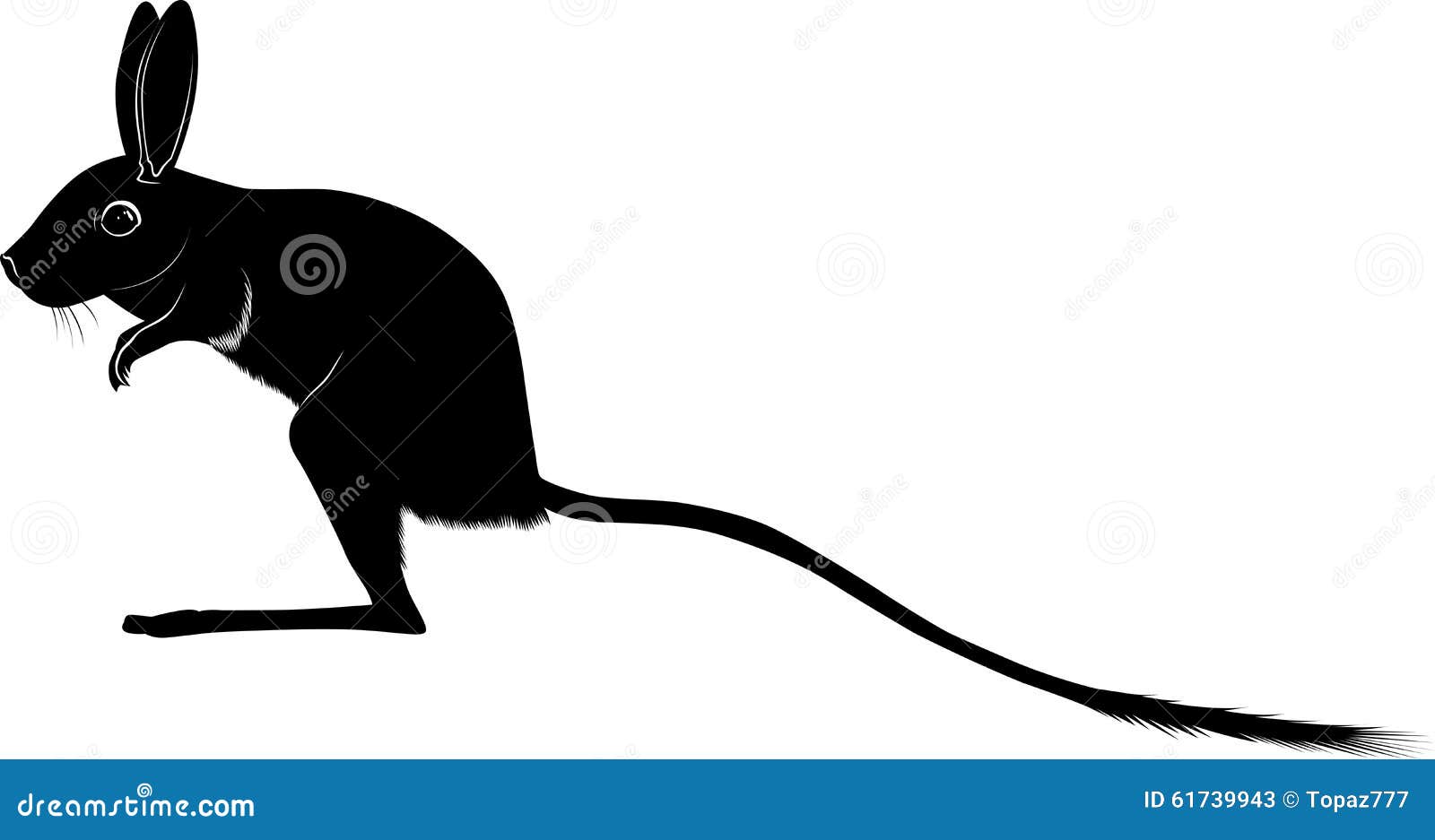 Gerboise illustration stock. Illustration du égyptien - 61739943