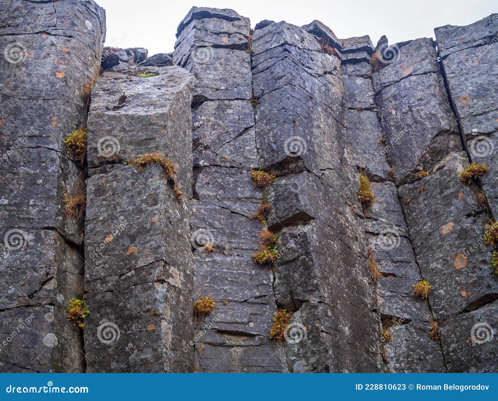 Gerduberg Basalt Columns, Iceland Stock Image - Image of grass, europe ...