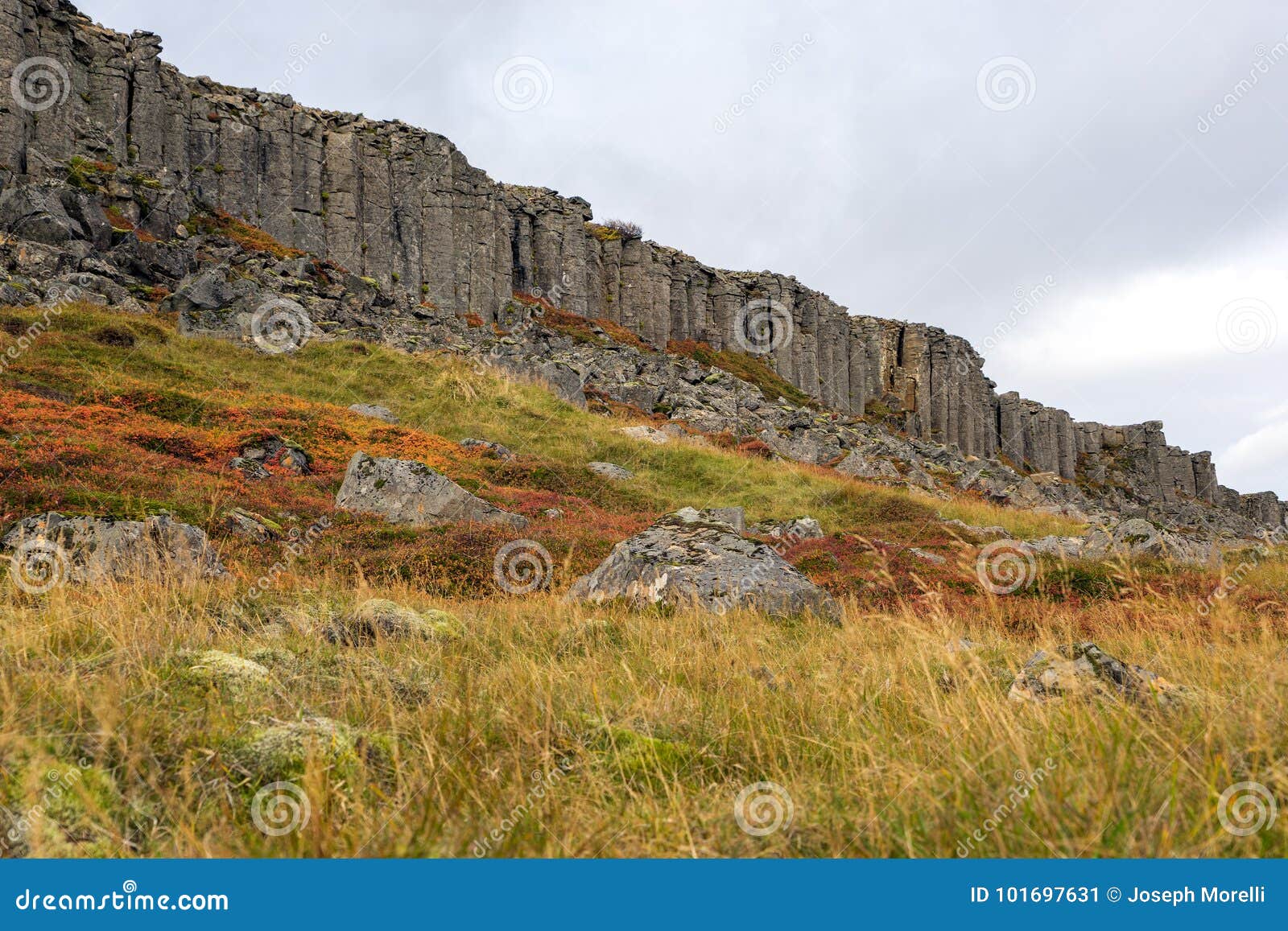 Gerduberg Cliffs Iceland stock image. Image of europe - 101697631