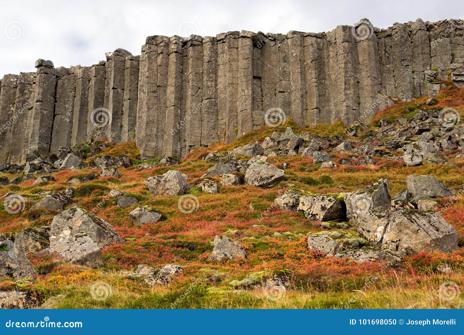 Gerduberg Cliffs Iceland stock photo. Image of scenic - 101698050