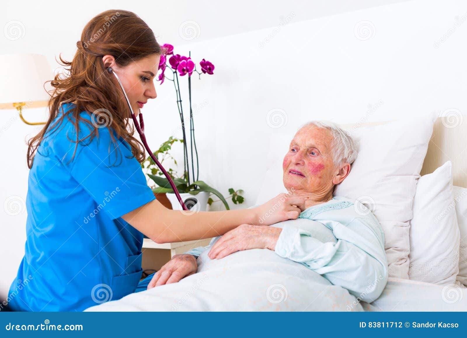 Geriatrisch onderzoek stock foto. Image of huis, bloed - 83811712
