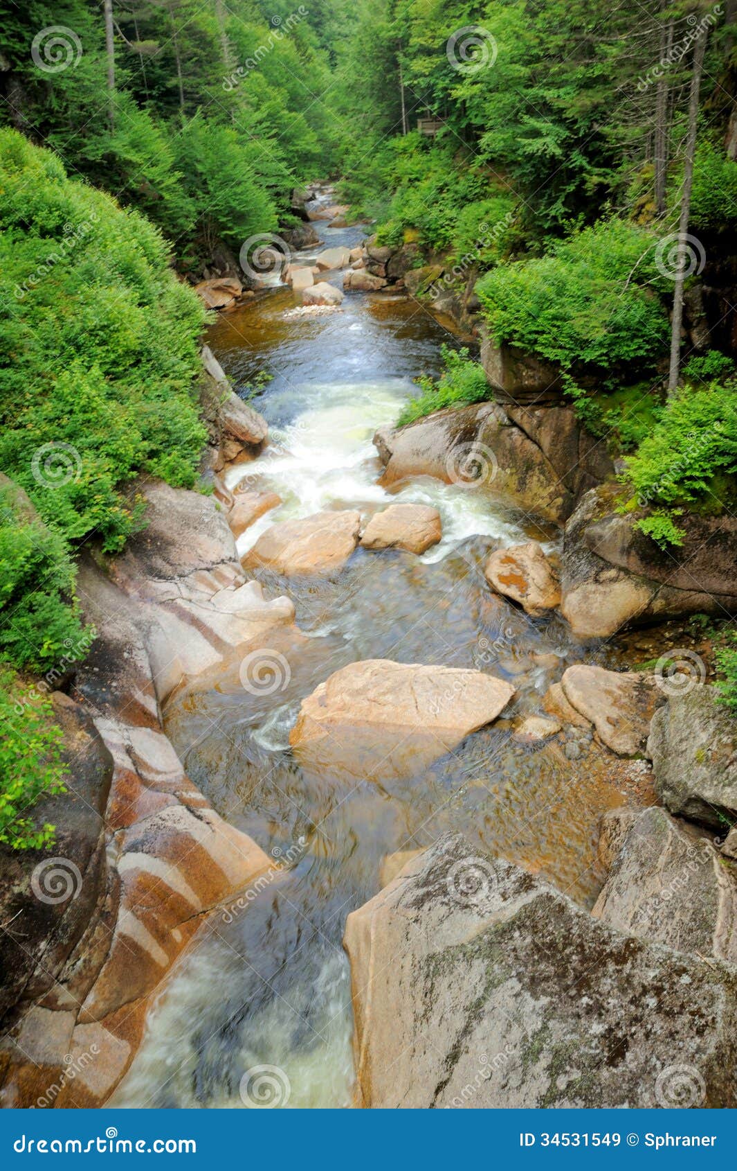 Gerinne-Schlucht stockbild. Bild von baum, gerinne, betrieb - 34531549