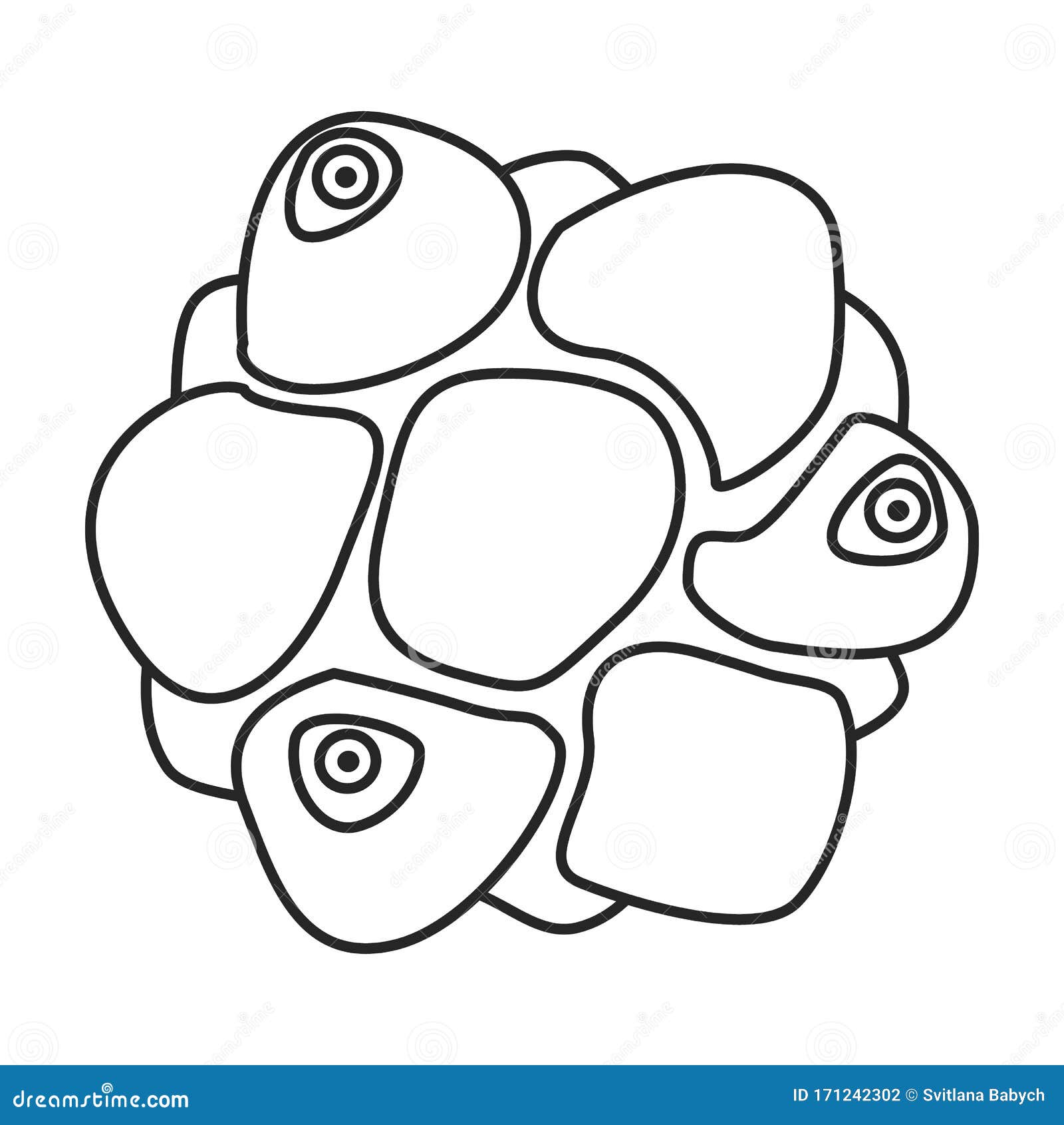 Germ of Bacteria Vector Icon.Outline,line Vector Icon Isolated on White ...