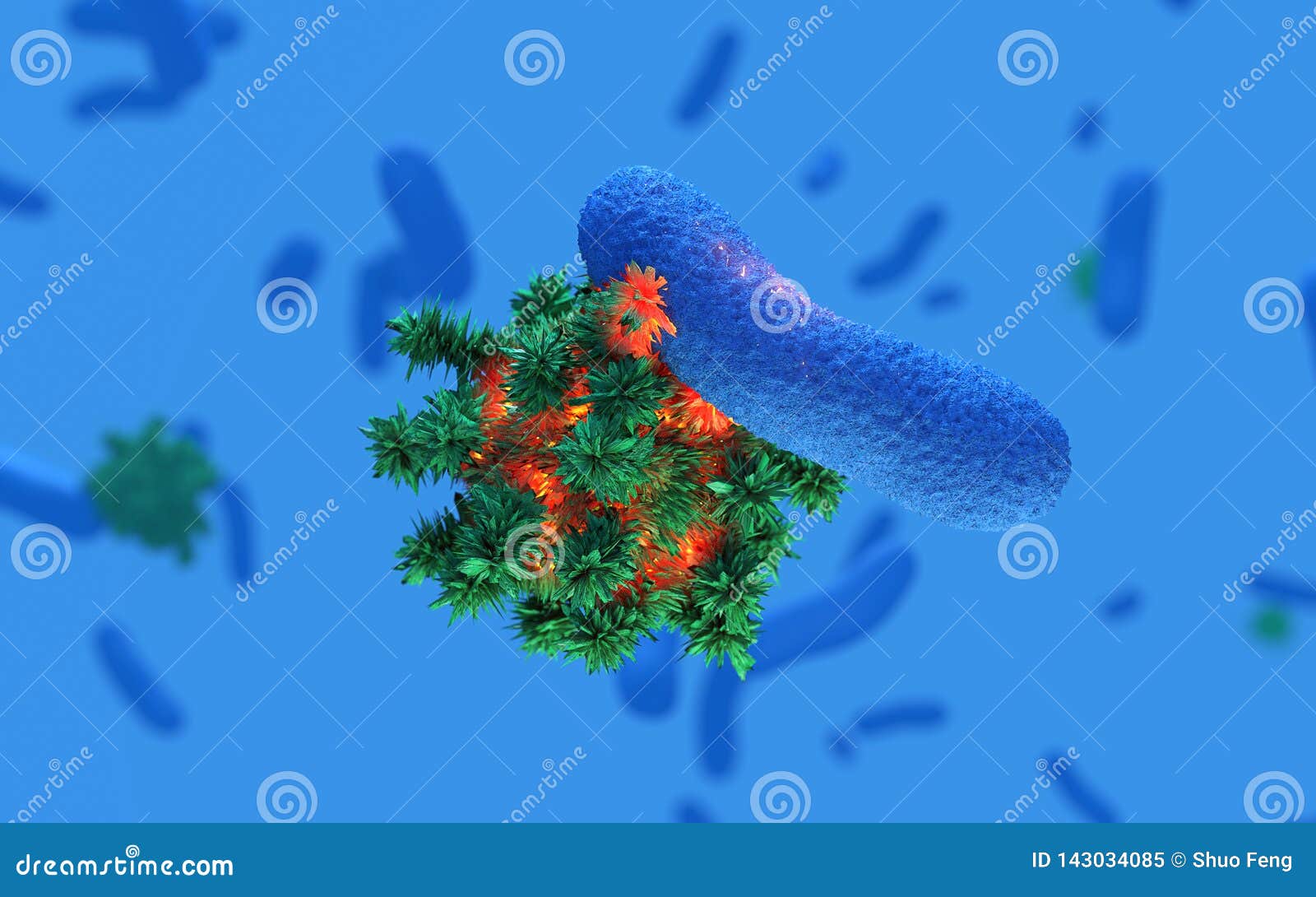 Germ Or Infection Bacteria Cell. Realistic Model Of Multicellular ...