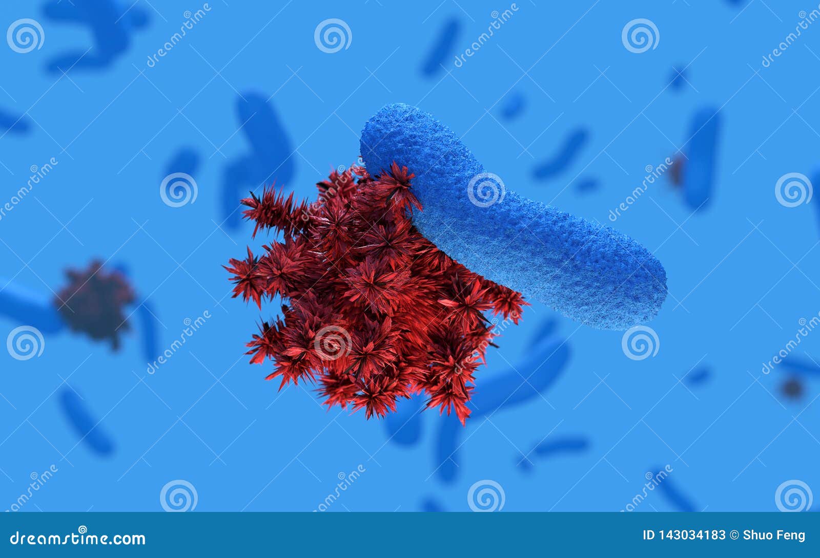 Germ Or Infection Bacteria Cell. Realistic Model Of Multicellular ...