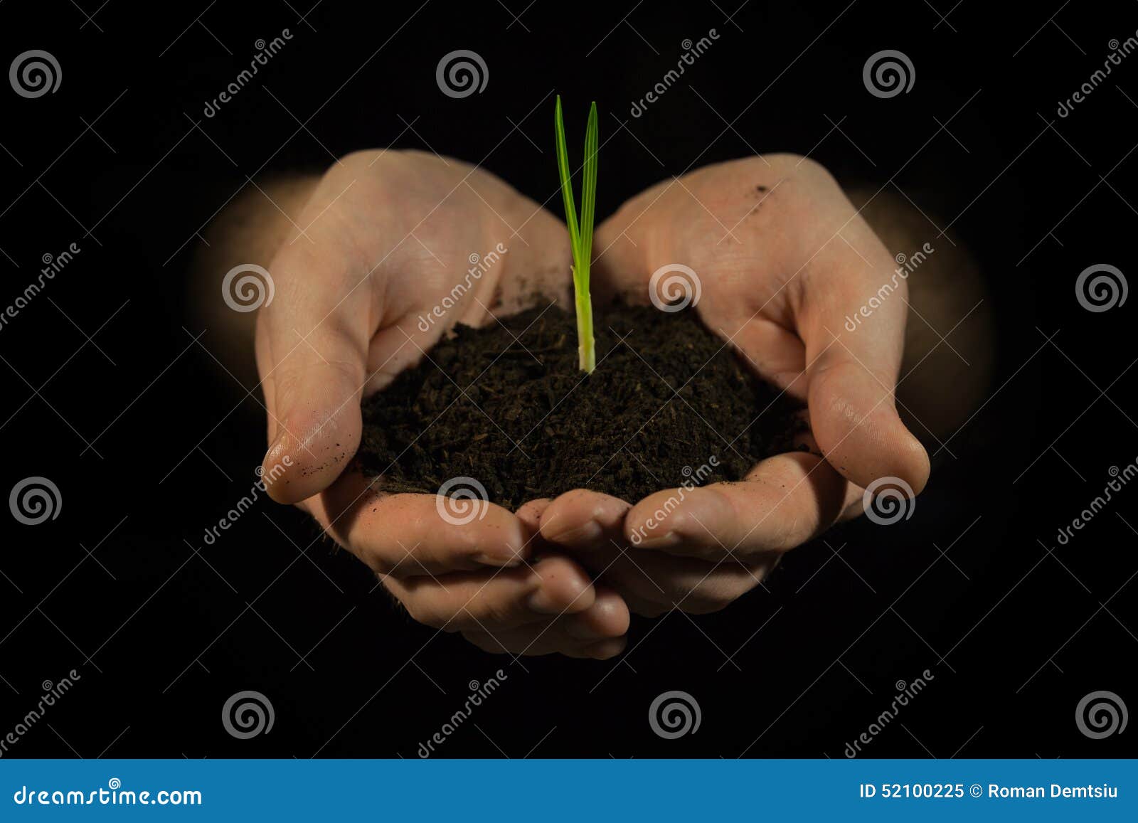 Germ stock image. Image of care, growth, cupped, isolated - 52100225