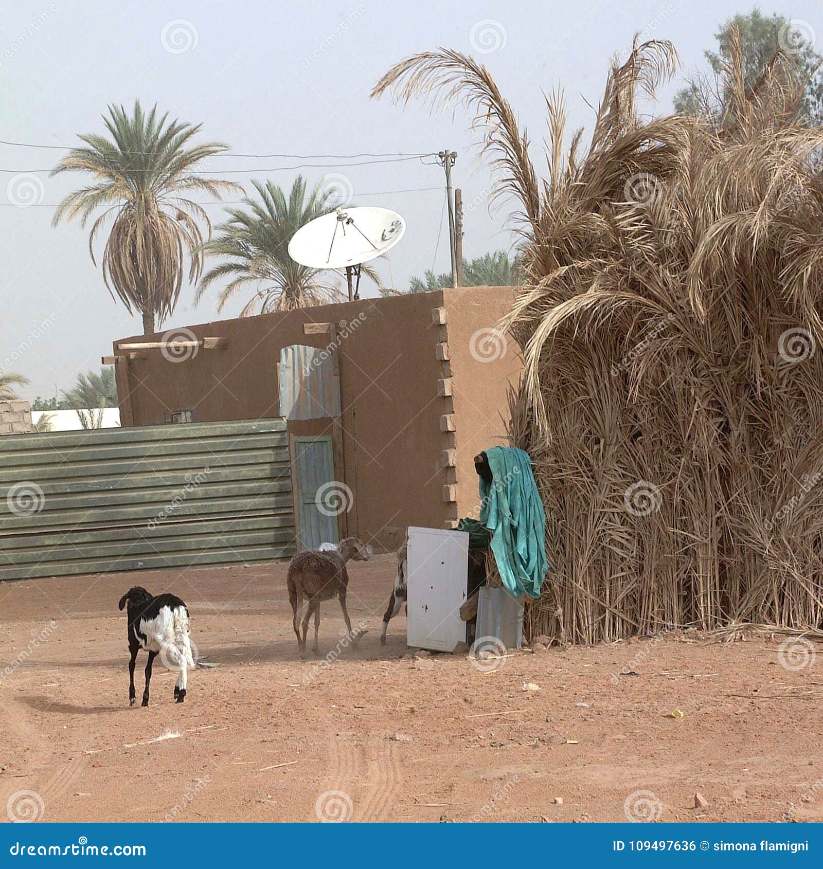 Goats in Germa editorial photo. Image of country, natural - 109497636