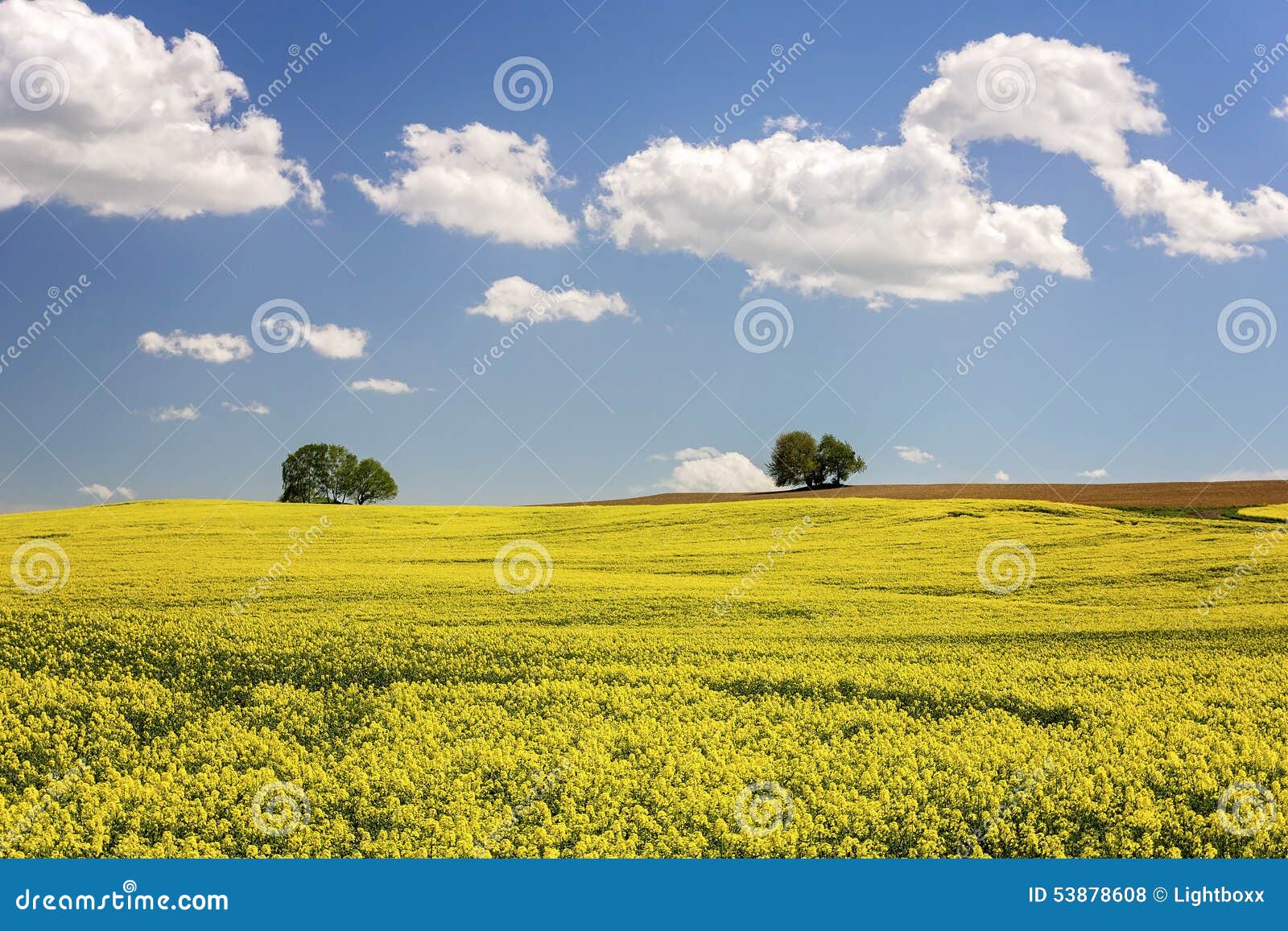 German Agriculture Landscape Stock Photo - Image of cultivated ...