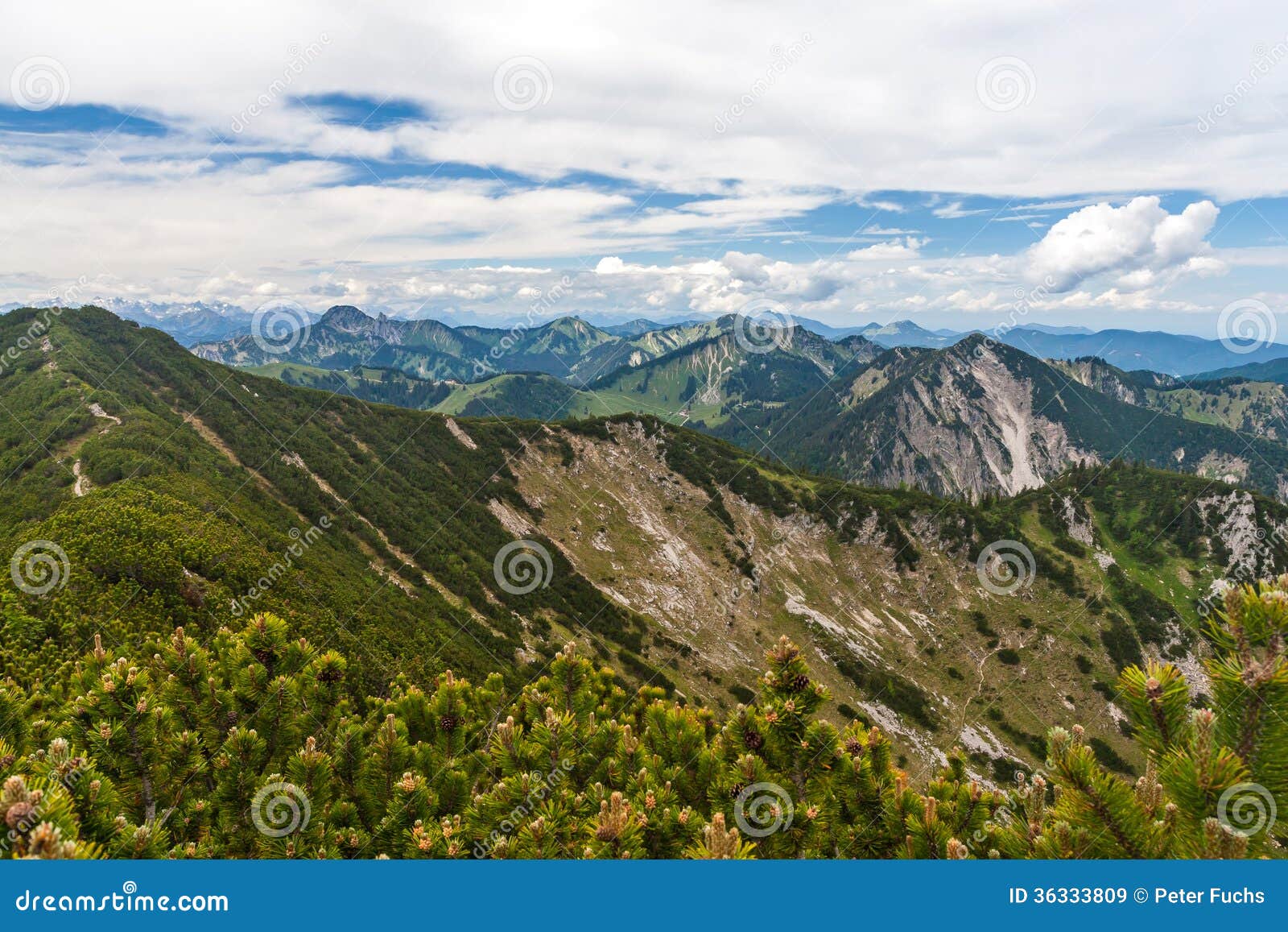German Alps stock image. Image of forest, hiking, alps - 36333809