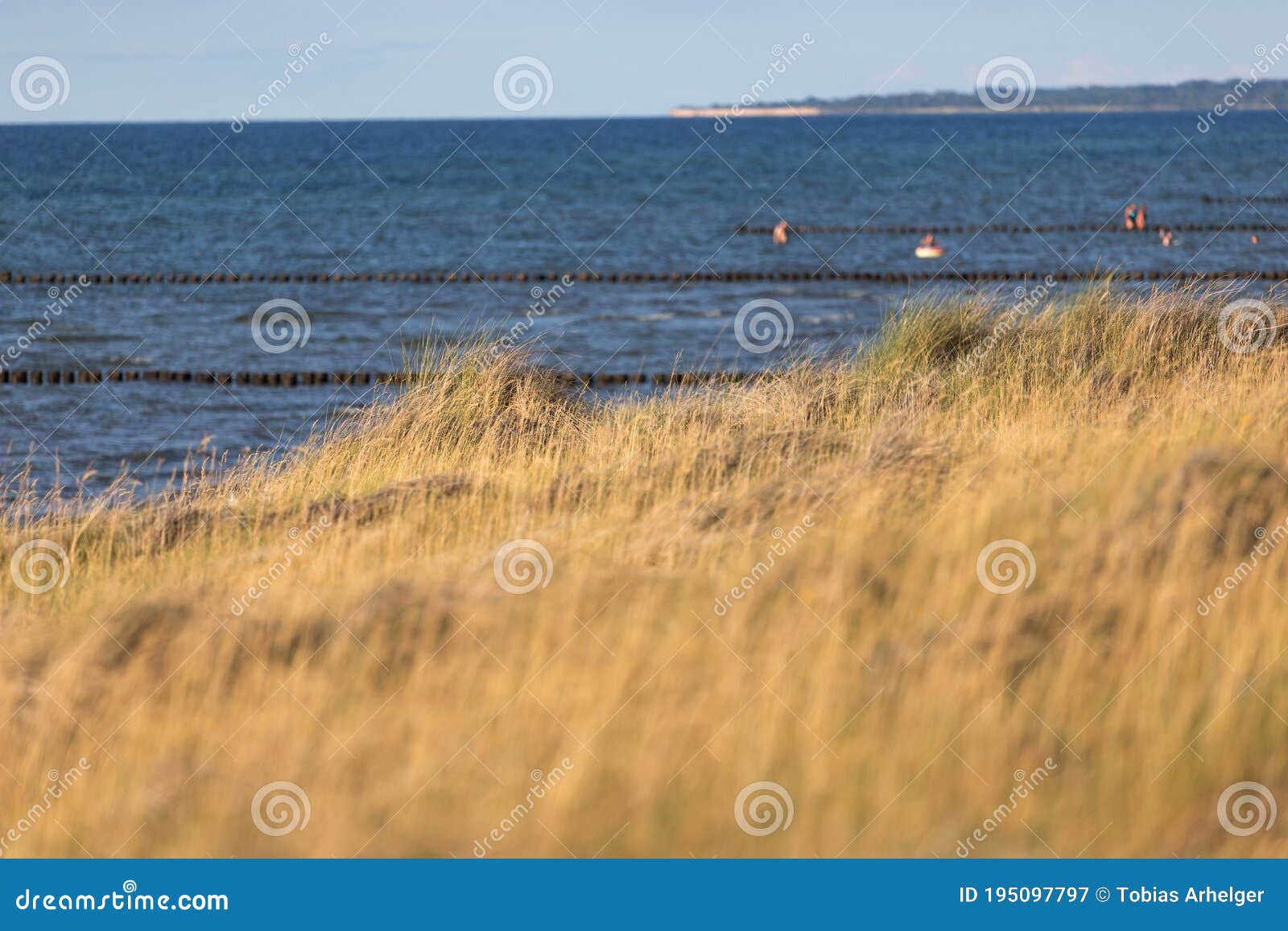 German Baltic Sea Natural Beach Stock Image - Image of green, saltwater ...