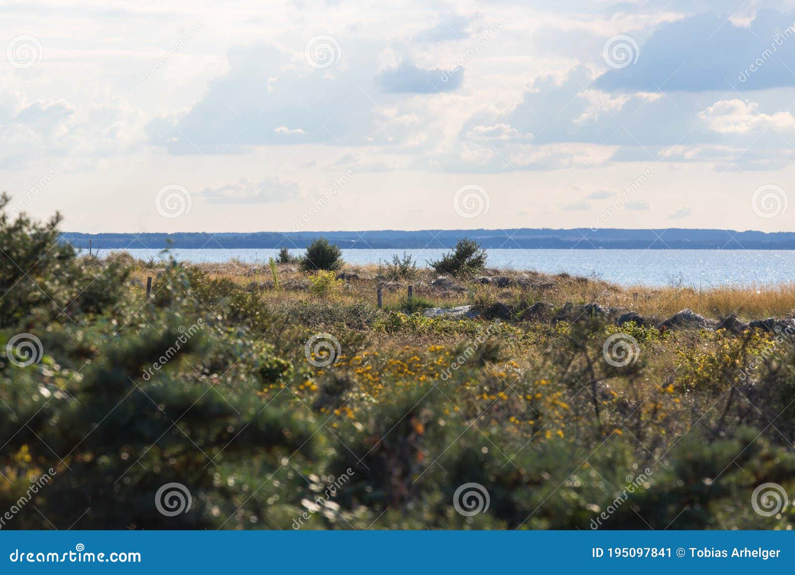 German Baltic Sea Natural Beach Stock Image - Image of grass, water ...