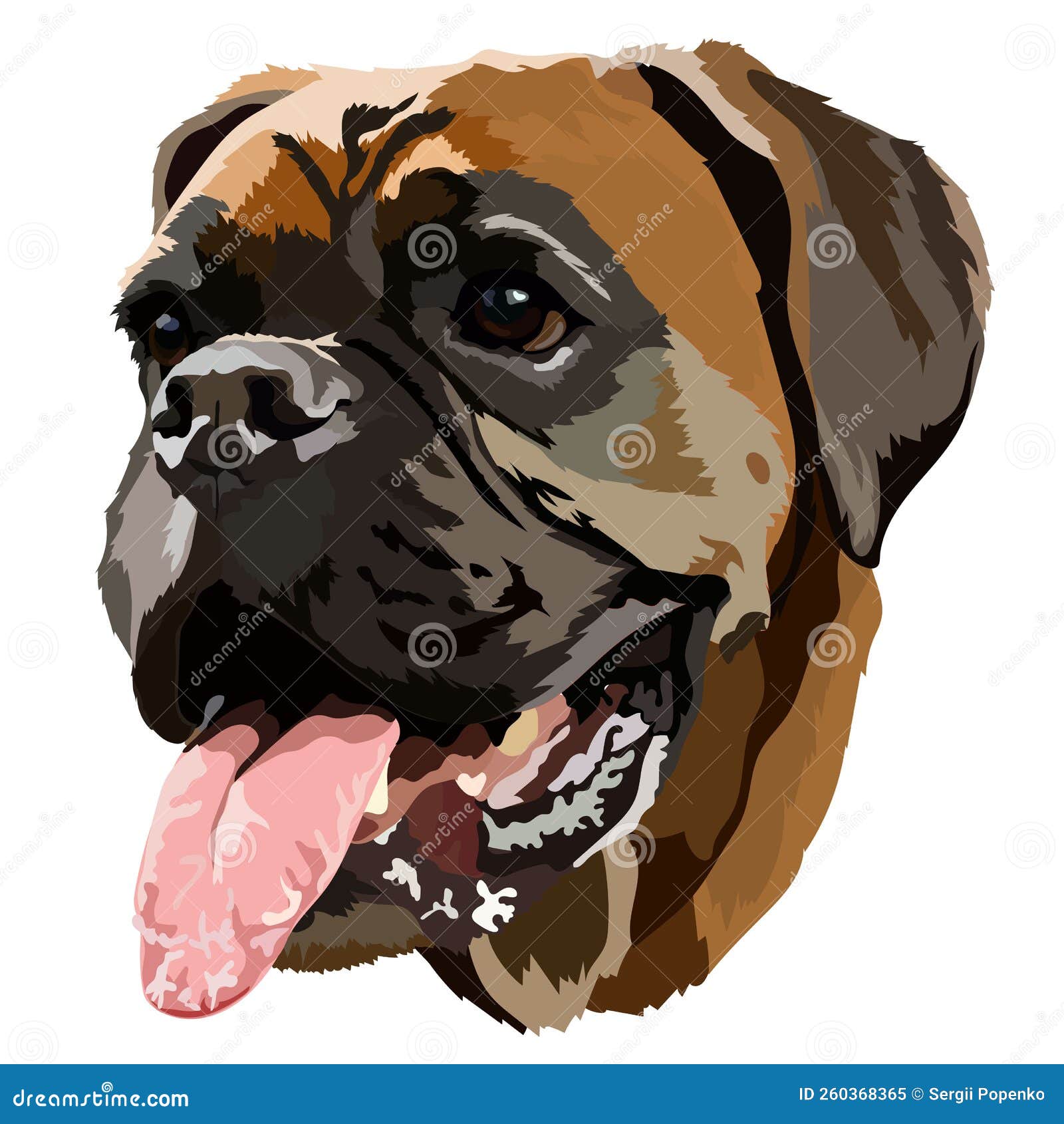 German Boxer Adult Dog Head Vector Image Stock Vector - Illustration of ...