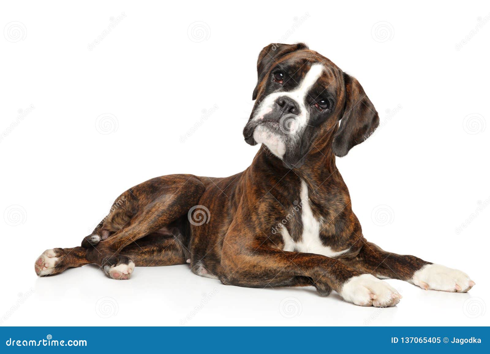 Guy Looks Surprised, Confused. Unexpected Emotions, Bewilderment And ...