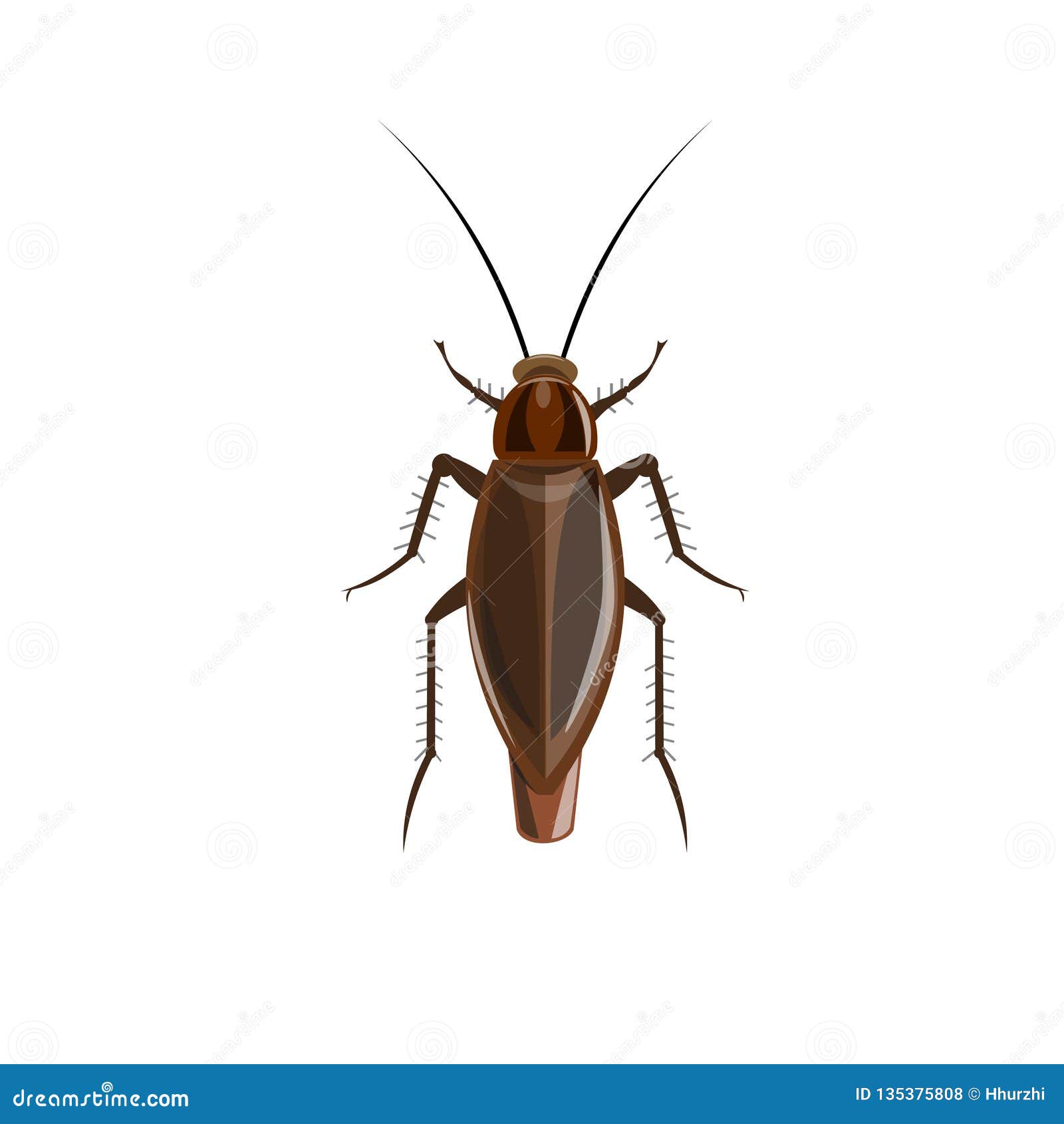 German Cockroach Stock Illustrations – 22 German Cockroach Stock ...