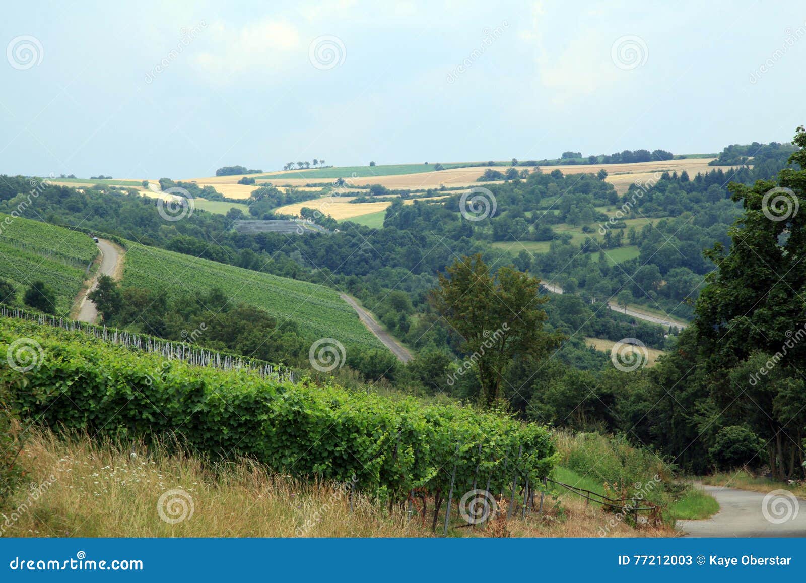 German Countryside Landscape: Series Of Trees With Hills As Background ...