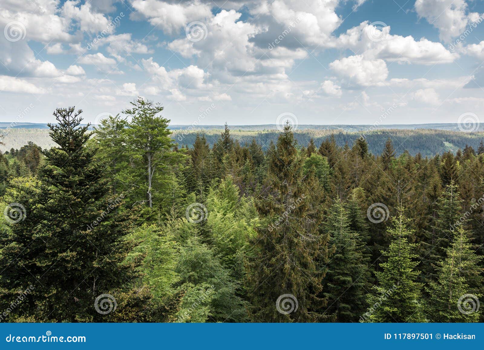 German Countryside with Forests, Fields and Meadows Stock Image - Image ...