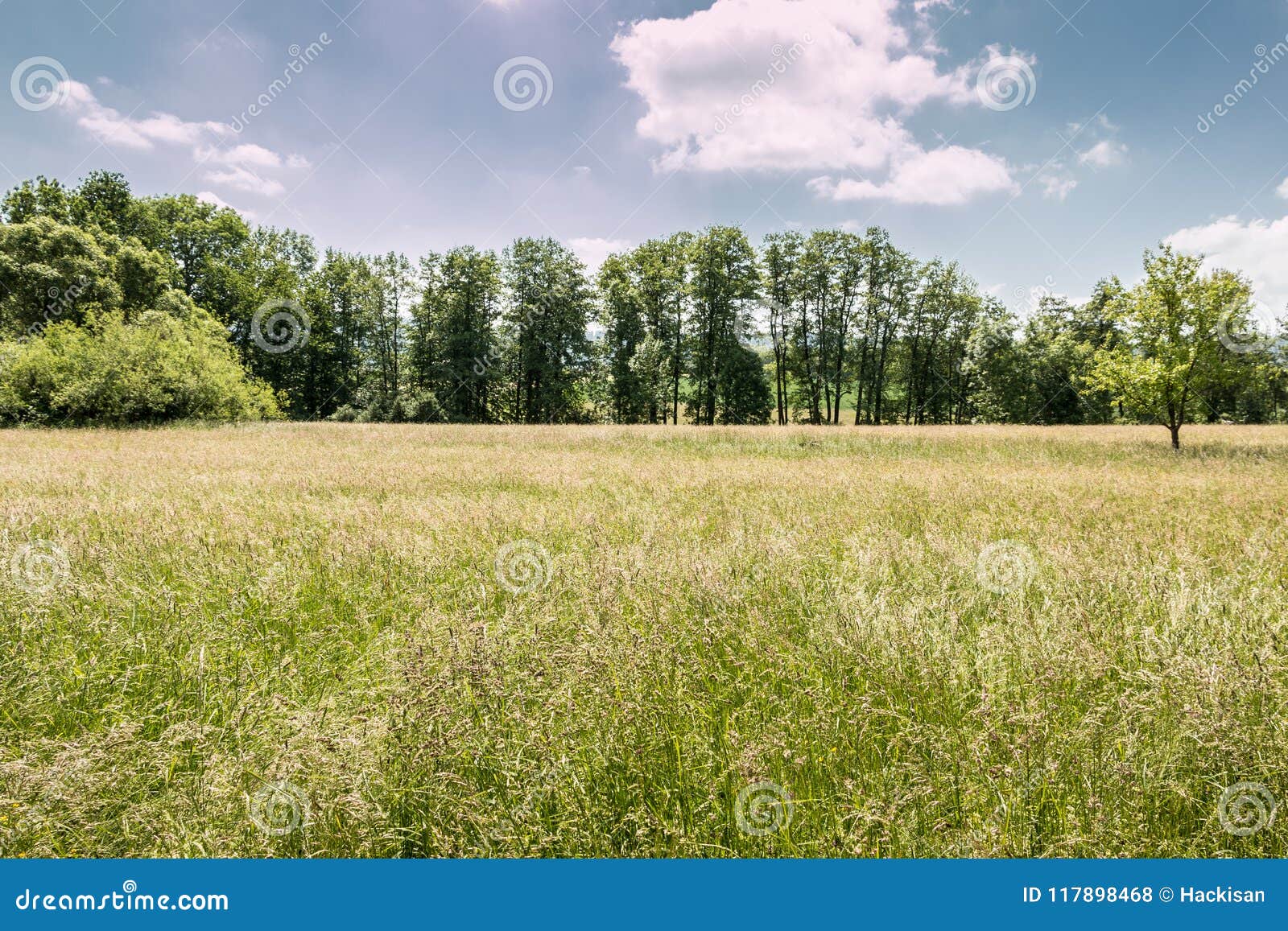 German Countryside with Forests, Fields and Meadows Stock Photo - Image ...