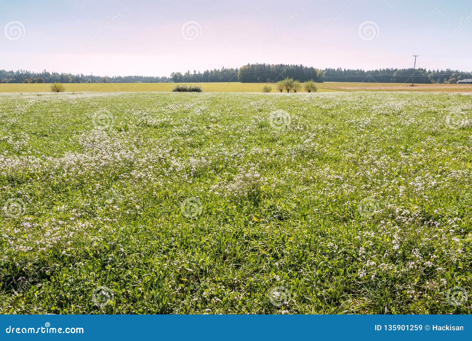 German Countryside with Forests, Fields and Meadows Stock Image - Image ...
