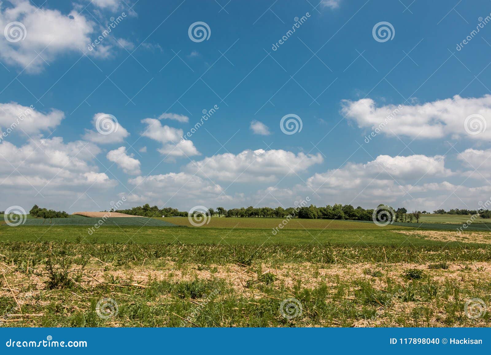 German Countryside with Forests, Fields and Meadows Stock Photo - Image ...