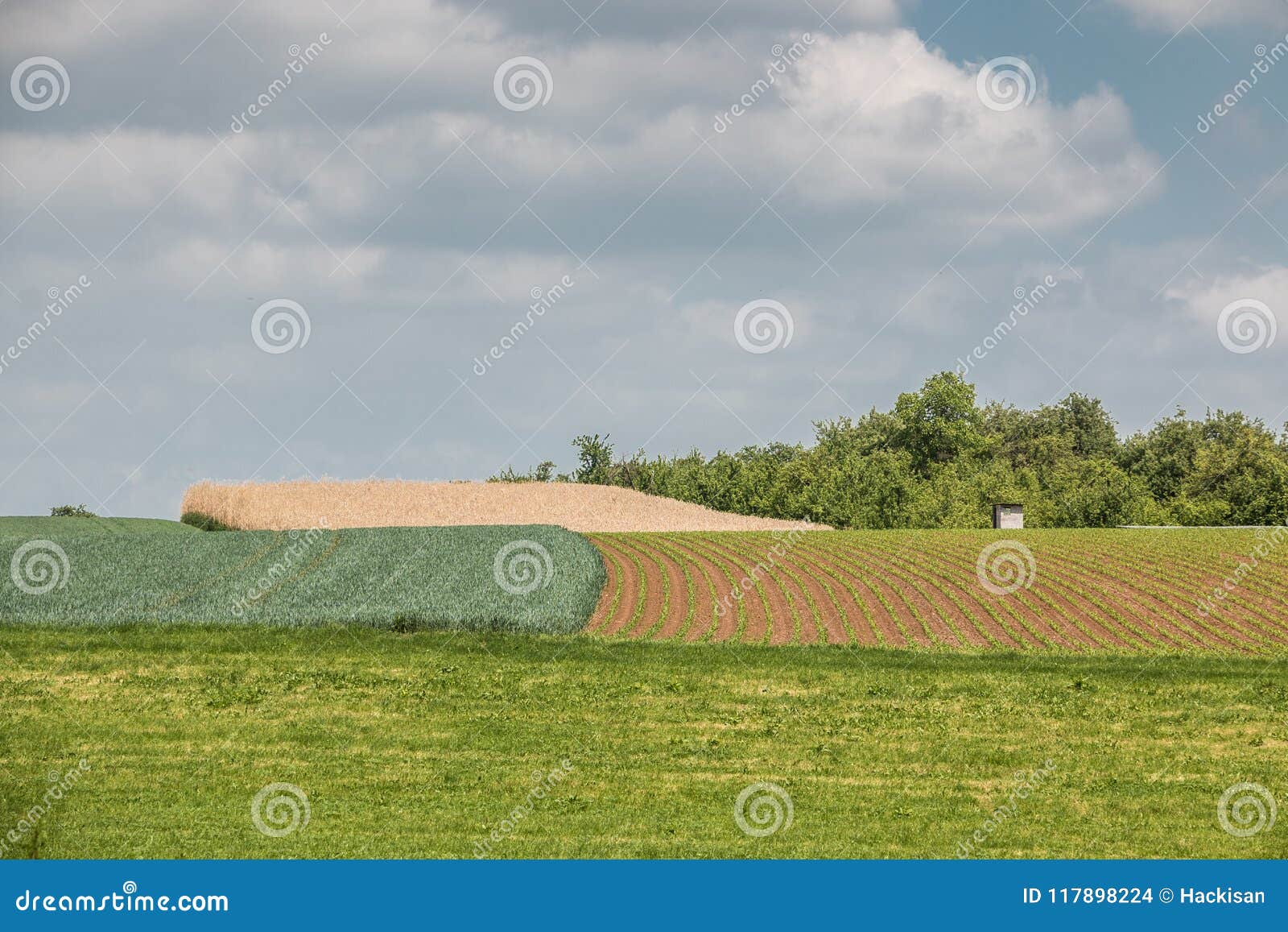 German Countryside with Forests, Fields and Meadows Stock Photo - Image ...