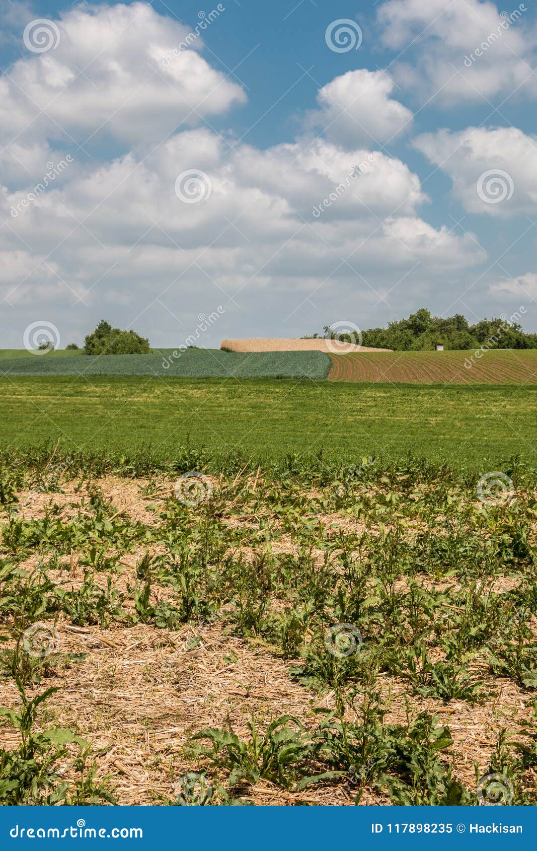 German Countryside with Forests, Fields and Meadows Stock Image - Image ...